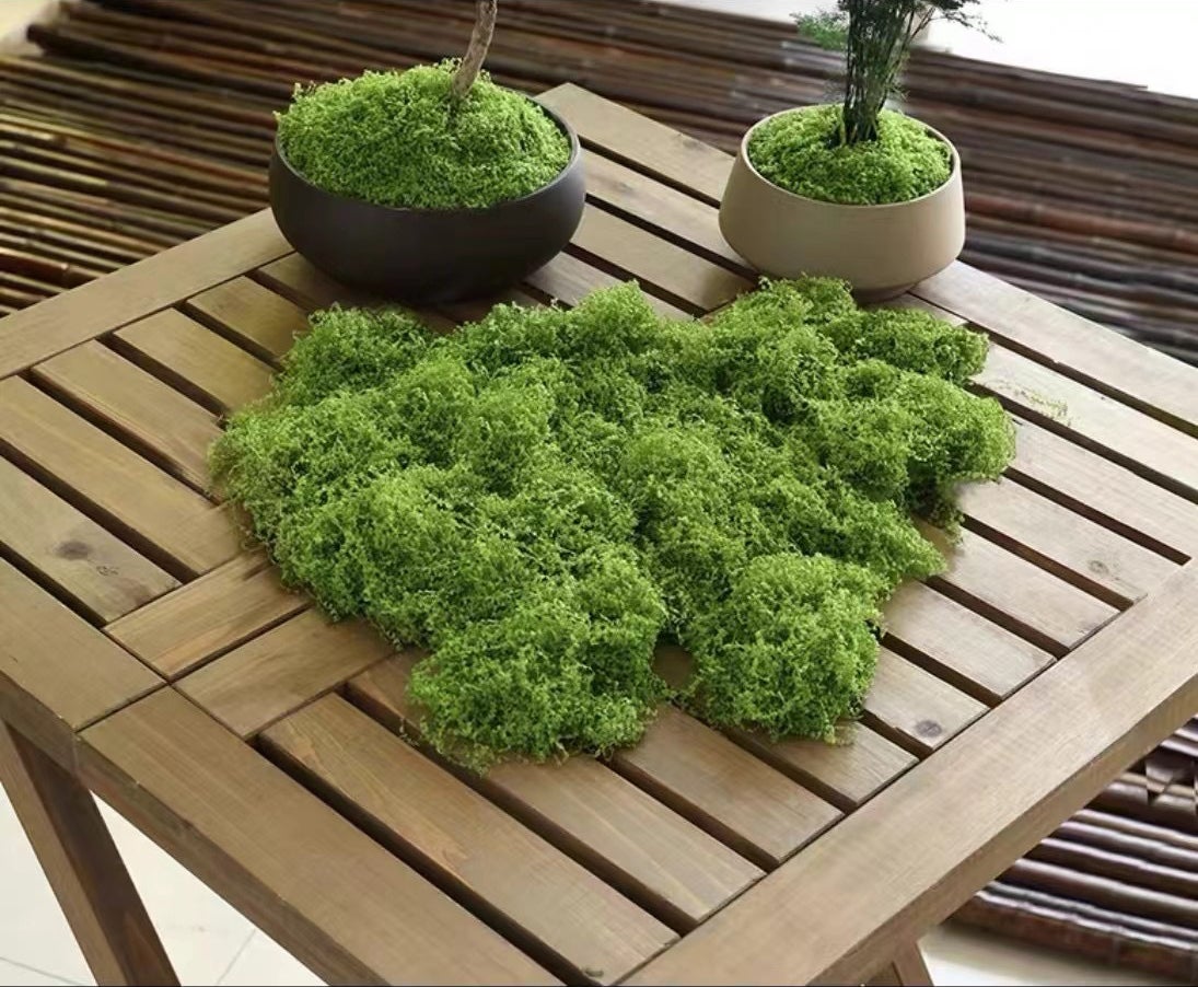 Artesanía de musgo artificial 50 g, paisajismo de césped de roca, musgo ...