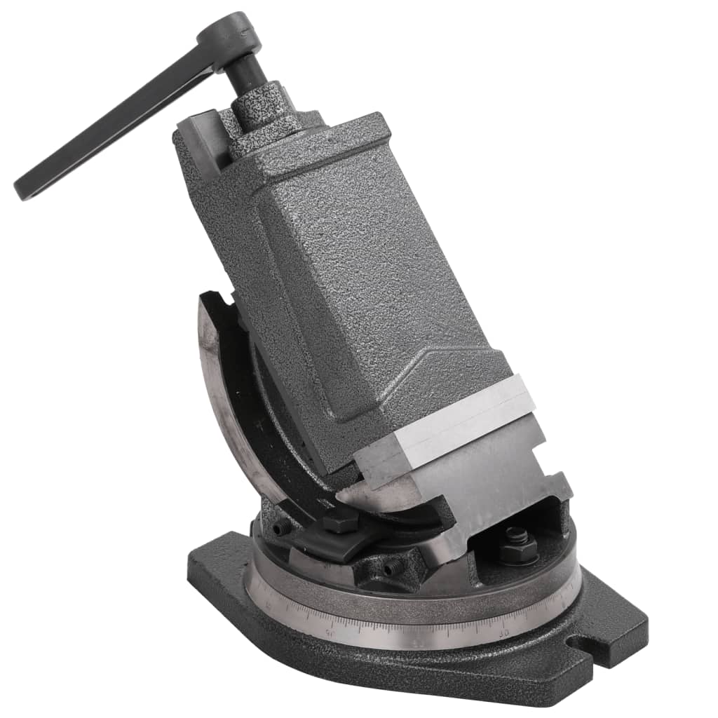Étau inclinable à 2 axes 100 mm | Leroy Merlin