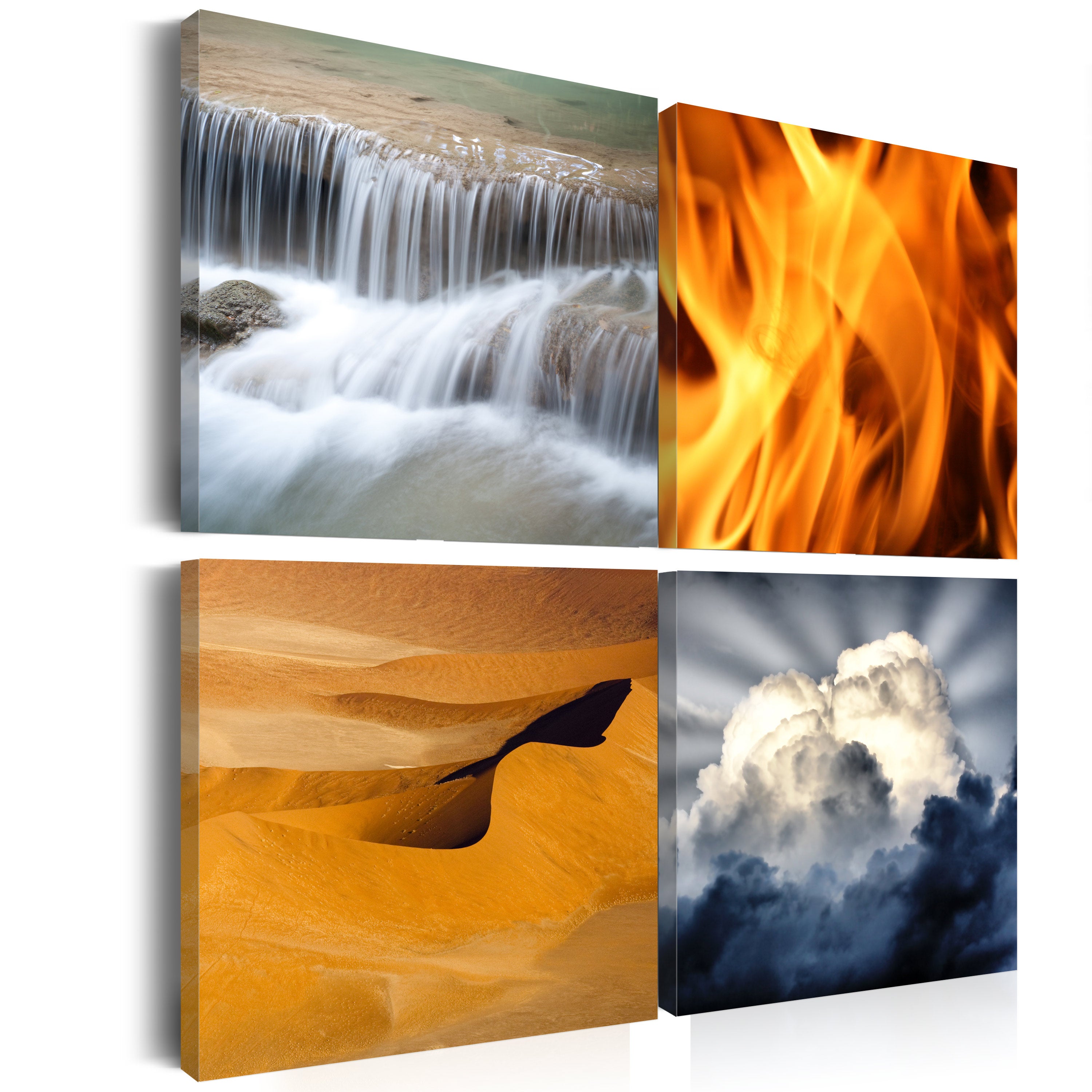 Tableau - Diversité de la nature - 60x60 | Leroy Merlin