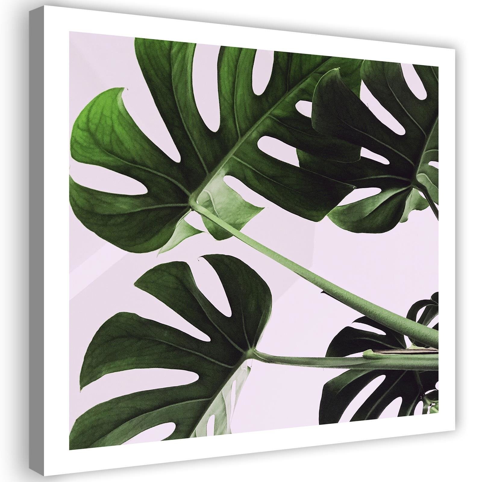 Tableau feuilles exotiques monstera 1 - 50 x 50 cm | Leroy Merlin