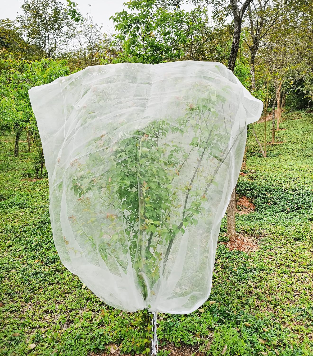 Filet Arbre Fruitier 1.8m X 1.8m, Filet Anti-Insectes pour Plantes ...