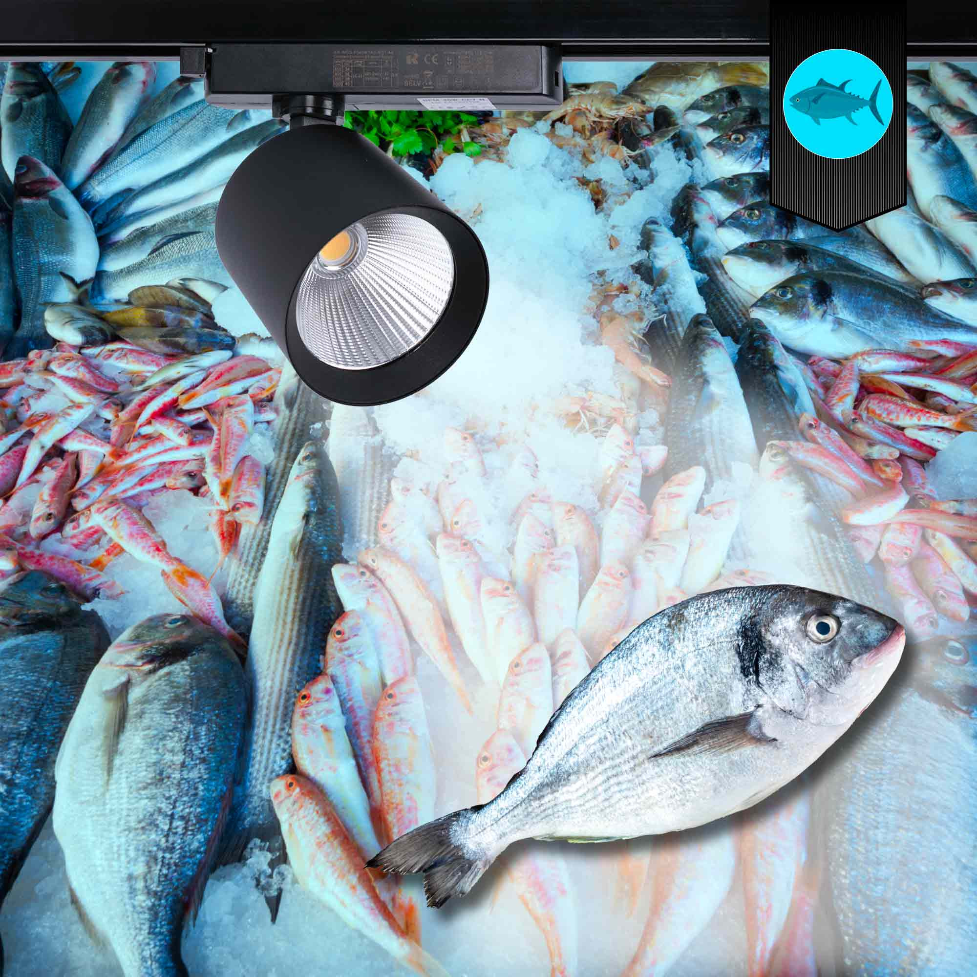 Spot LED 40W pour rail monophasé - Poissons et fruits de mer | Leroy Merlin