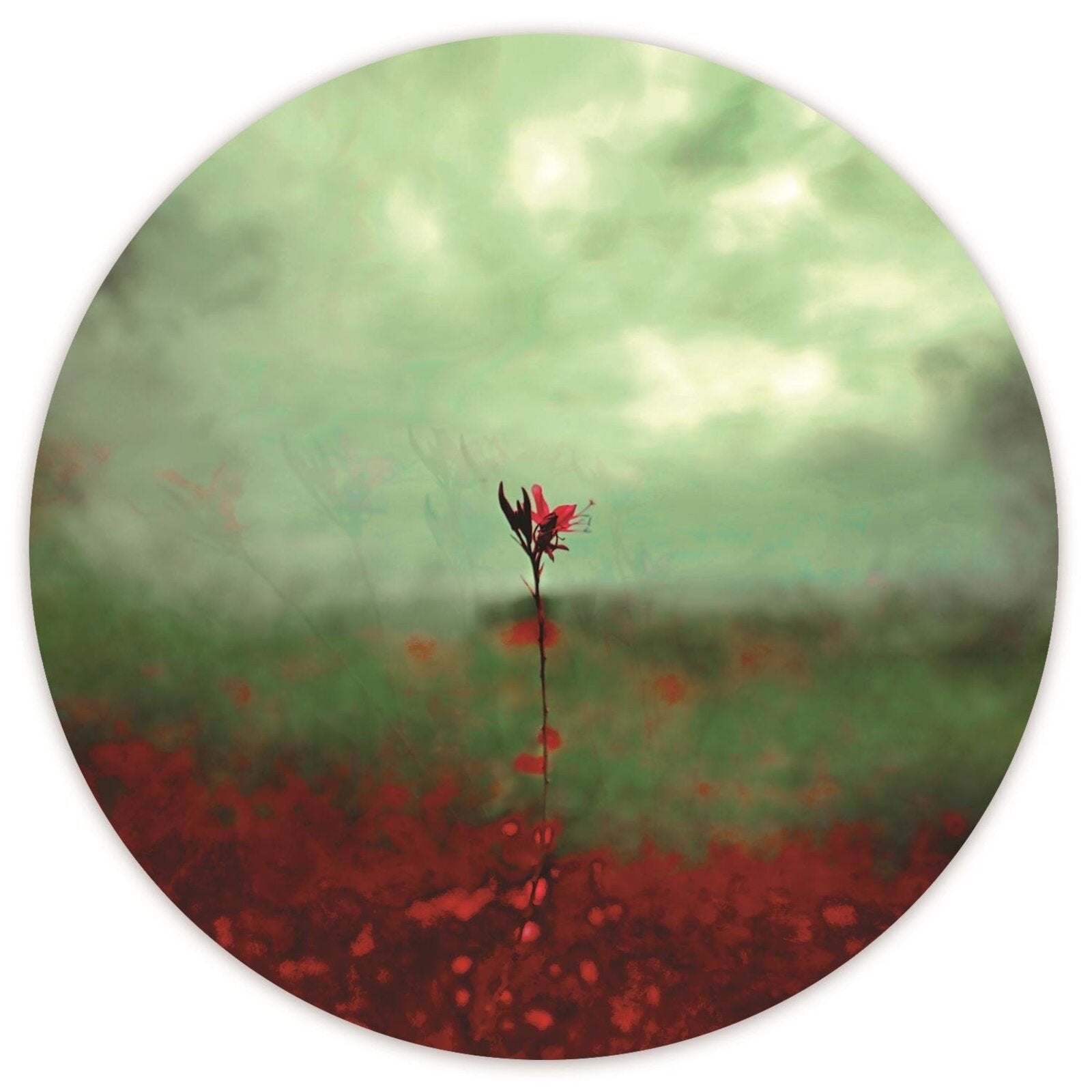 Tableau bois fleur rouge - 80 x 80 cm | Leroy Merlin