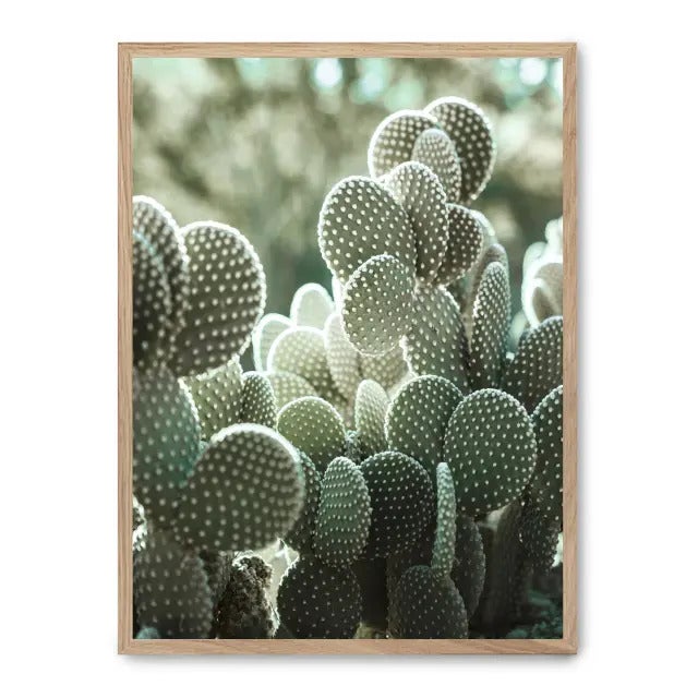 Peinture de cactus je | Leroy Merlin