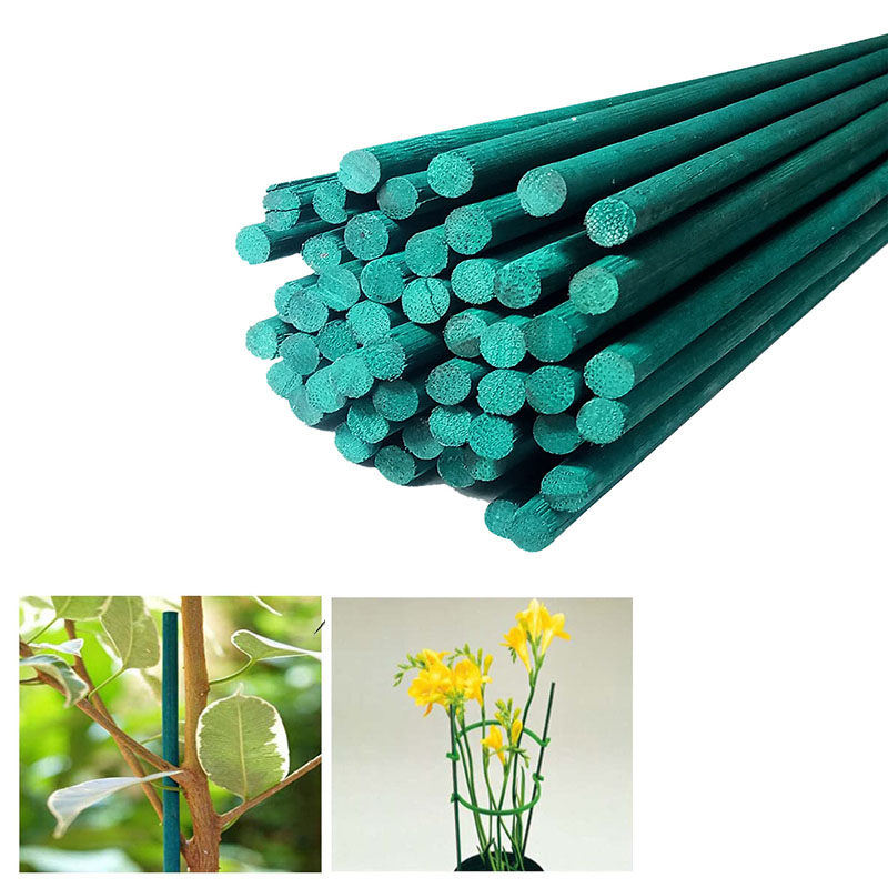 Paquete de 50 estacas de bambú para el crecimiento de plantas, de 50 cm ...