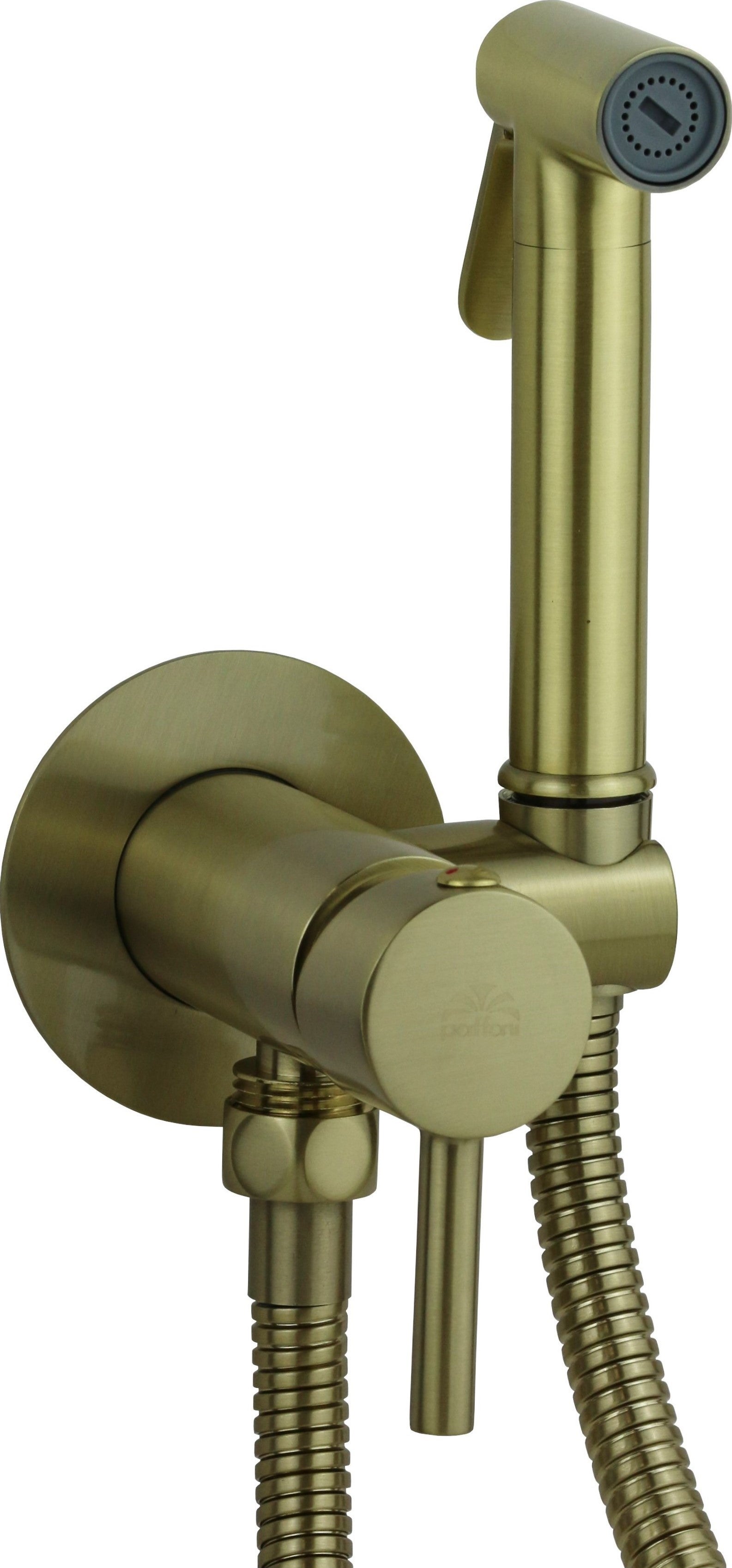 Ensemble de bidet encastré en bronze avec mitigeur et douche Paffoni ...