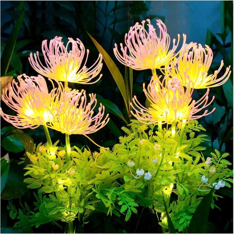 Lot de 2 lampes solaires d'extérieur pour fleurs, LED étanches IP65 ...