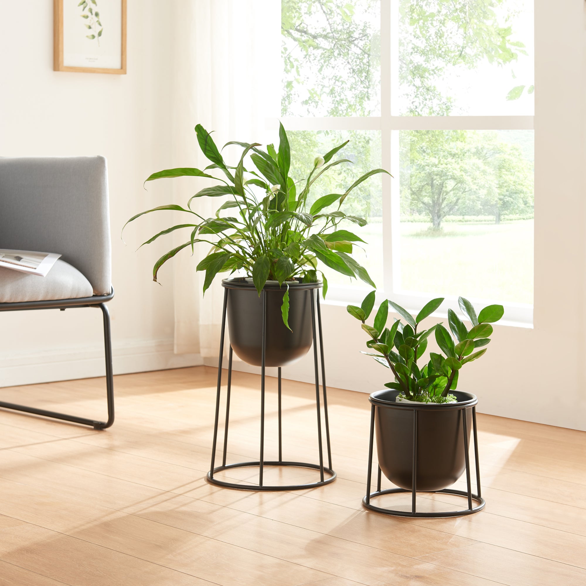 Cache Pot Casa