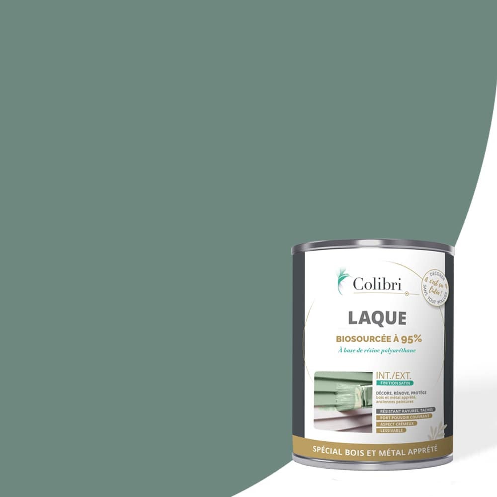 Peinture bois extérieur Vert Saulaie, aspect velouté, 1L | Leroy Merlin
