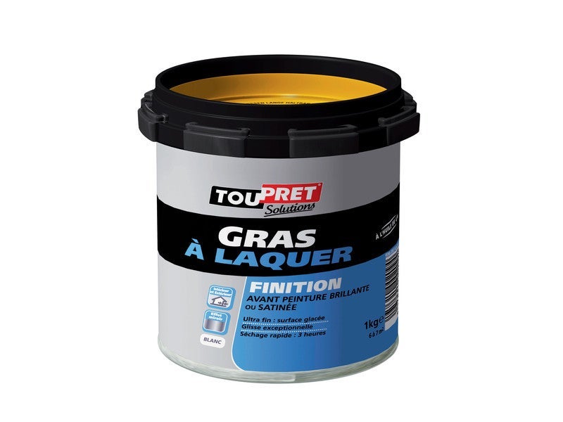 Enduit Gras À Laquer 1 Kg En Pâte, Intérieur/Extérieur | Bricoman