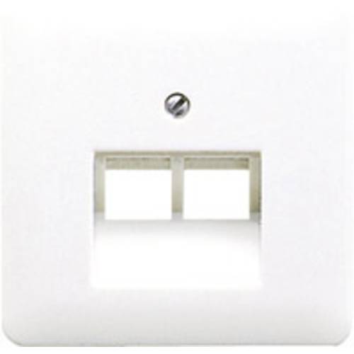Jung x2 Cache Prise réseau blanc-alpin CD569-2UAWW | Leroy Merlin