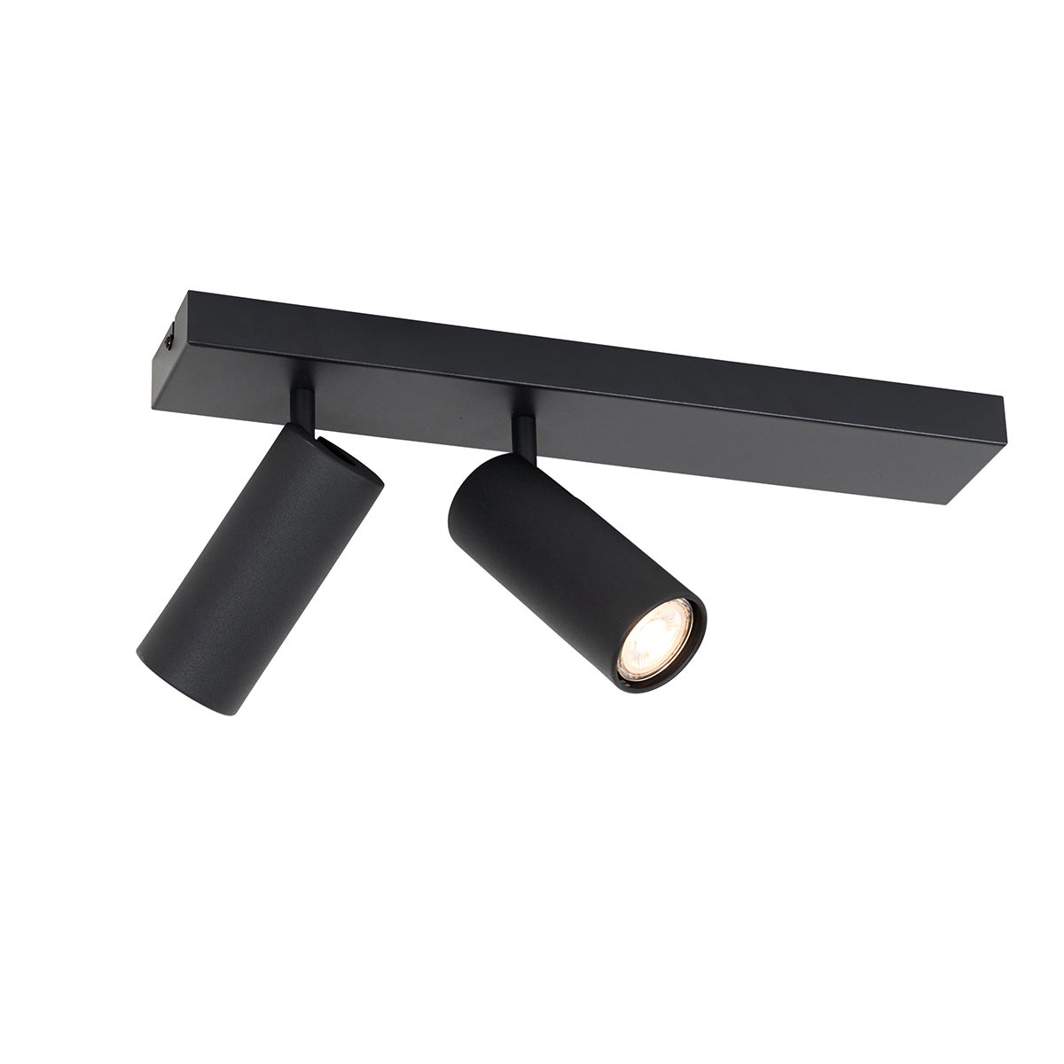 Foco de techo moderno negro 2 luces regulables - Renna | Leroy Merlin