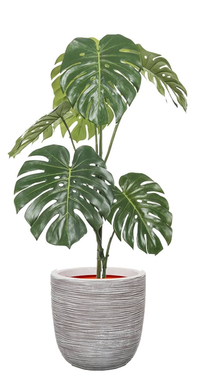 Monstera deliciosa artificielle, sur pied, en pot H 120 cm, D 65 cm ...
