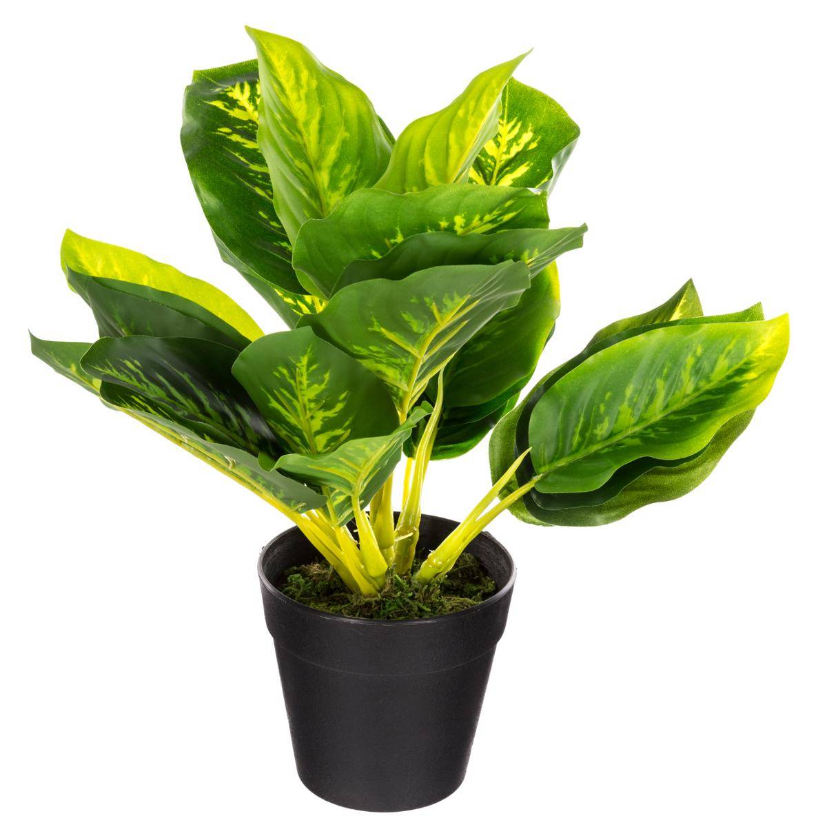 Atmosphera - Planta artificial - maceta de cemento - H30 cm - Modelo 2 | Leroy Merlin