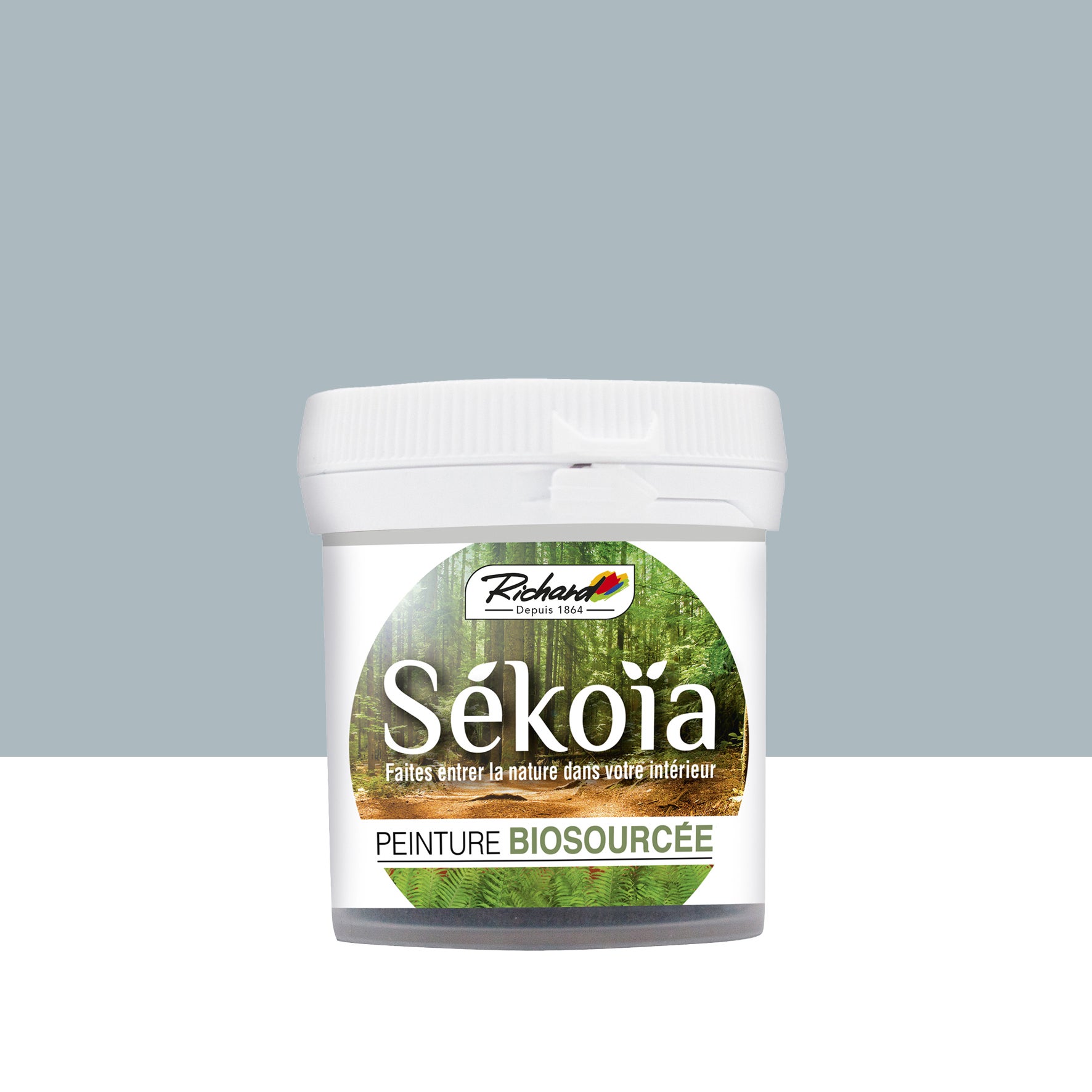 Peinture biosourcée Sékoia Richard galet mat 50ml | Bricoman