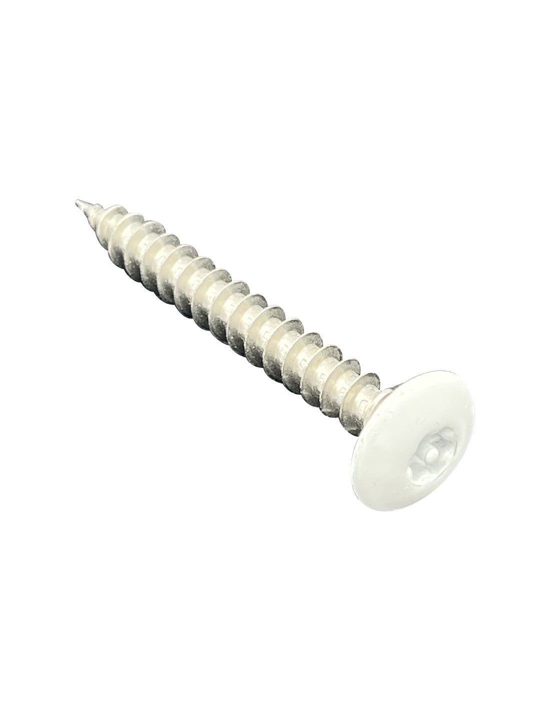 Vis Penture Inox A2 6X50 T30+TETON RAL9016 blanc signalisation 80%-500 ...