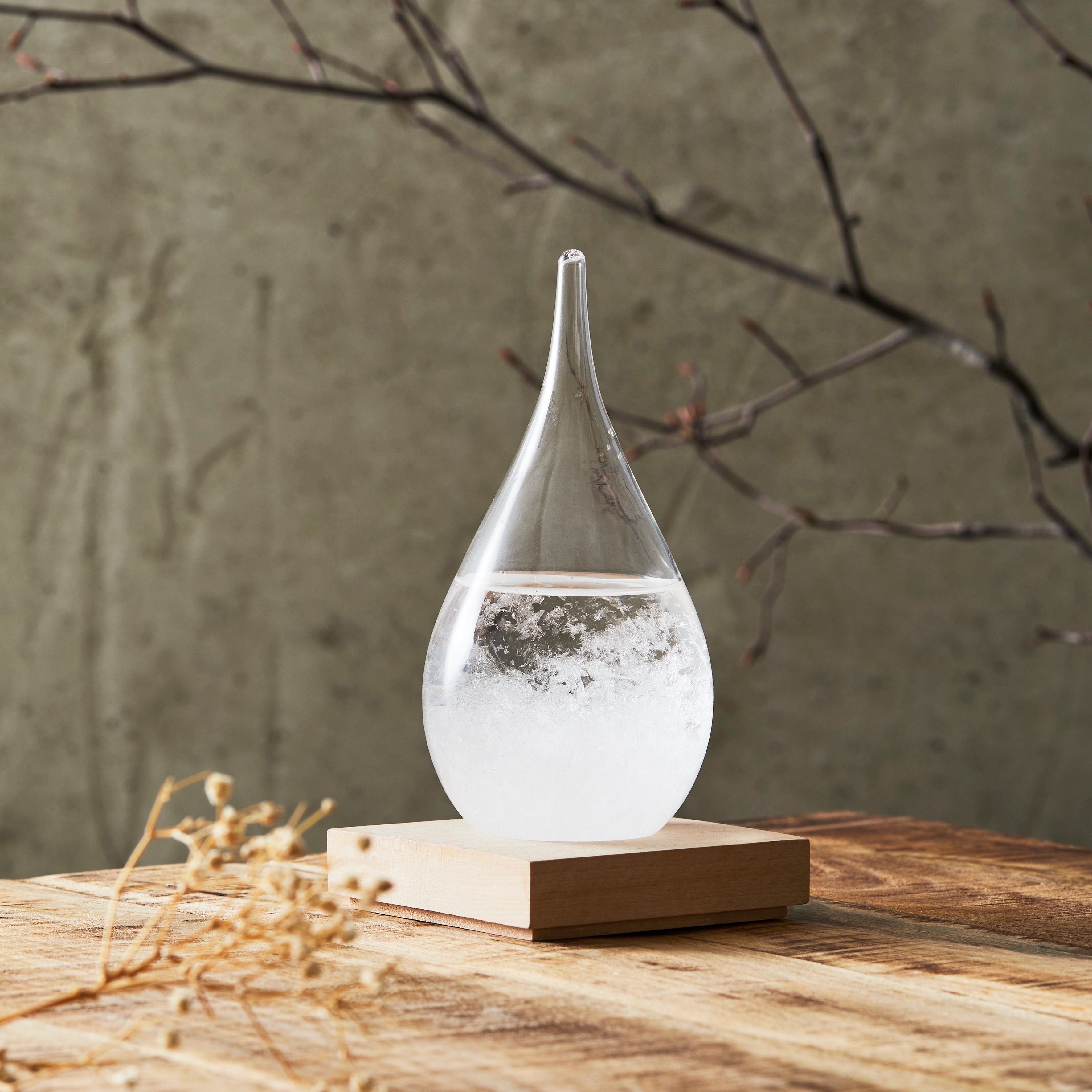 Verre Tempête - Home Deco Factory - Baromètre - Déco - Transparent ...