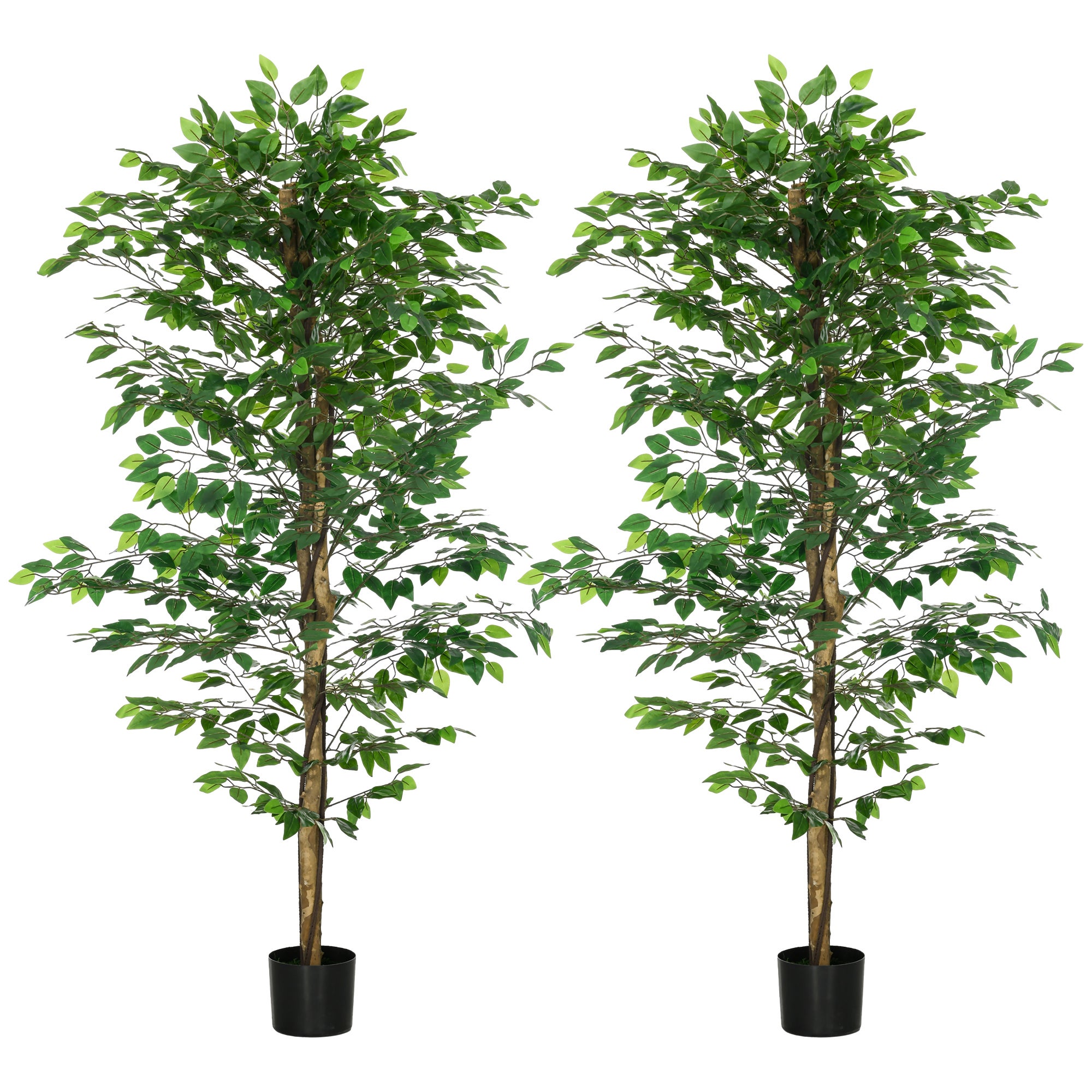 Lot de 2 ficus artificiels, hauteur 1,80 m, tronc, branches, lianes ...
