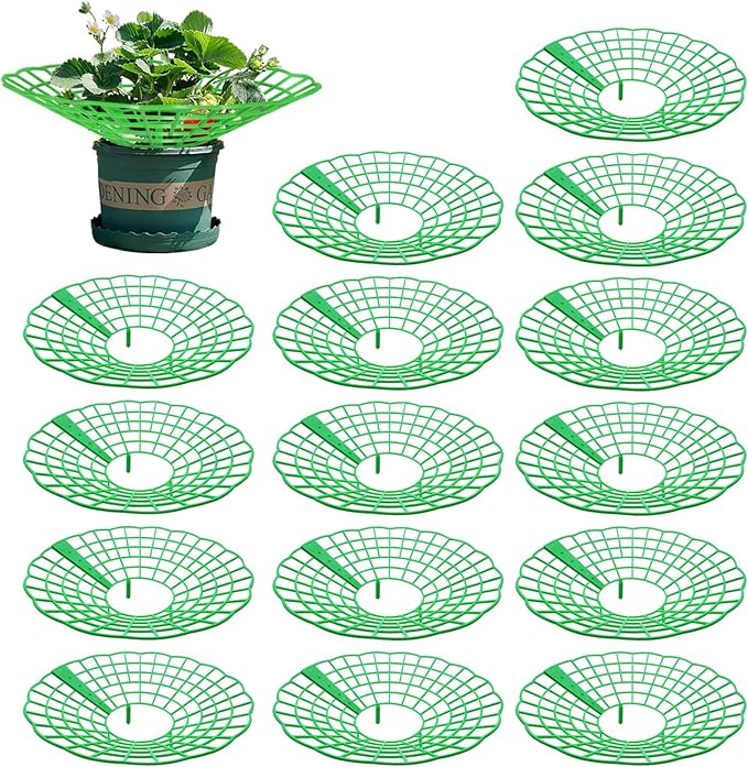 20Pièces Support Fraisier, Plastique Amovible Supports pour Fraises ...