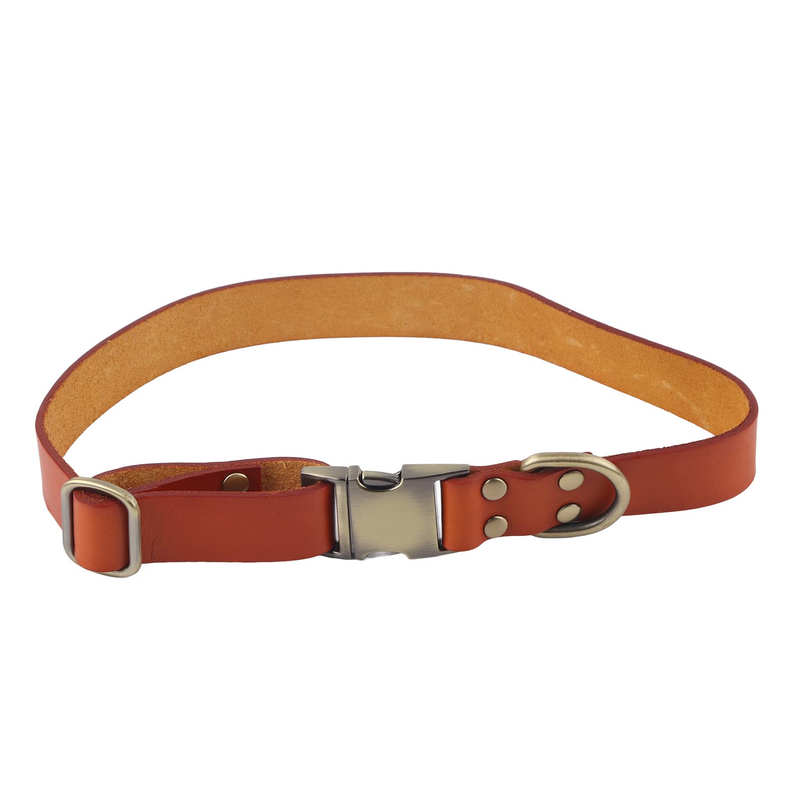 Collier pour chien en cuir Collier pour animal de compagnie en cuir ...