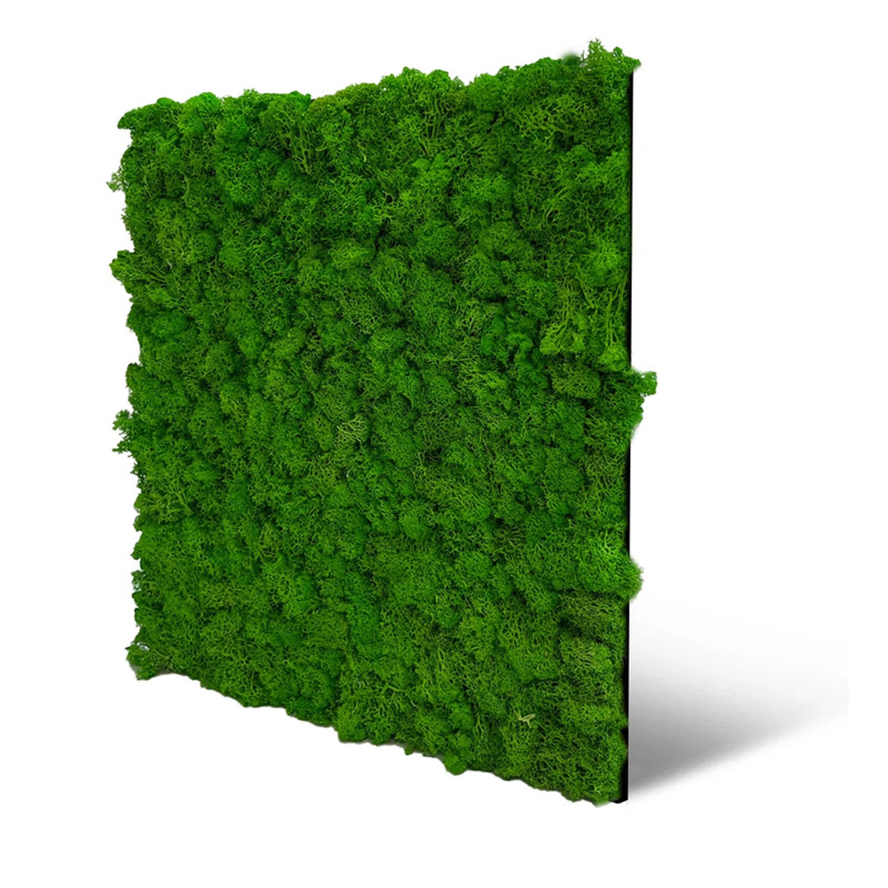 0,27 m² Panneaux 3D de mousse muraux & de plafond Décor Isolation ...