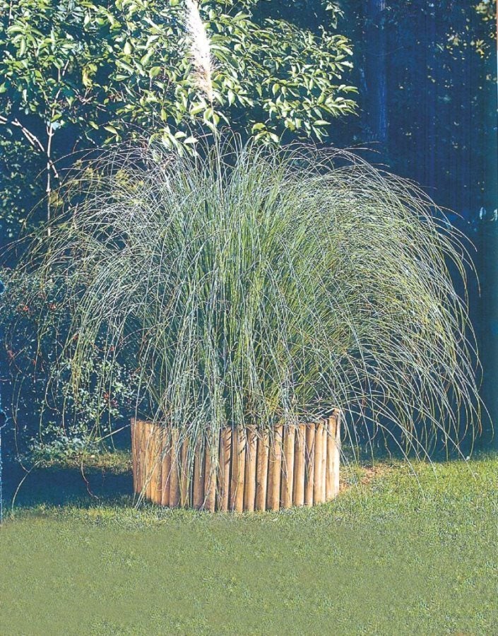 ROLLO BORDEAR PINO IMPREGNADO 180XH20 CM | Leroy Merlin