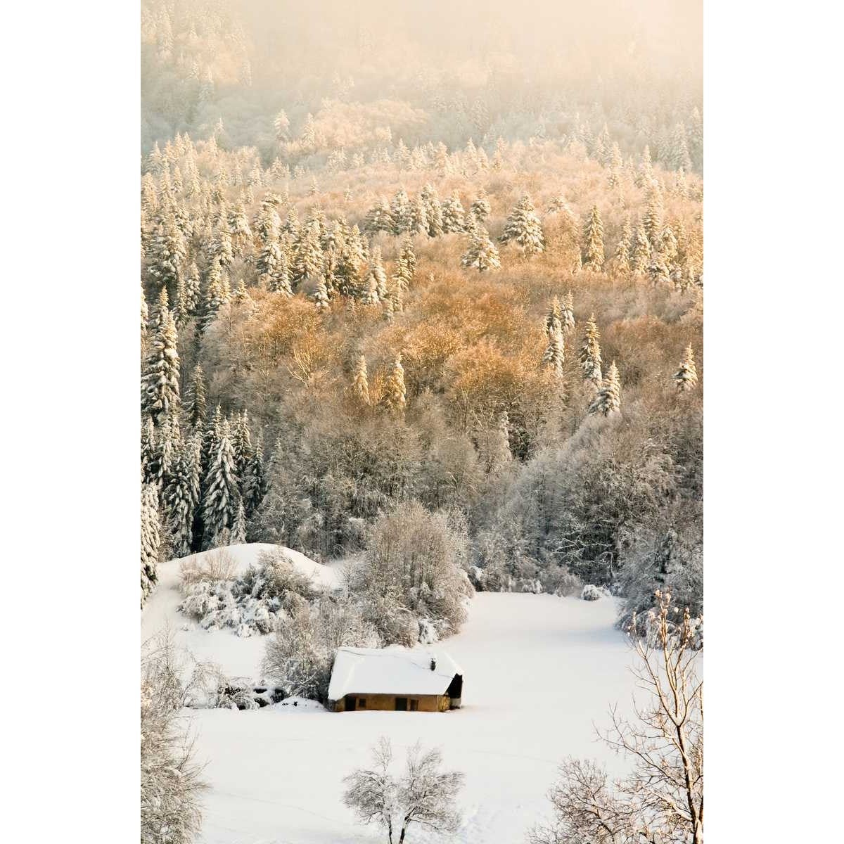 Tableau sur toile hiver automnal 30x45 cm | Leroy Merlin