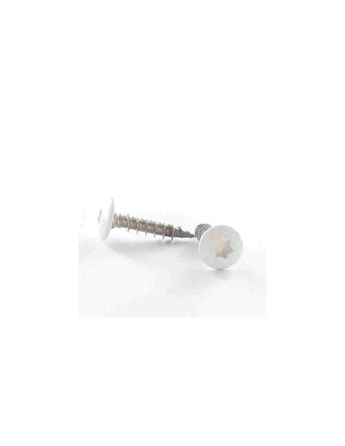 Vis Penture 6X40 TORX T30 Inox A2 LQBLC RAL9016 blanc signalisation-1 ...