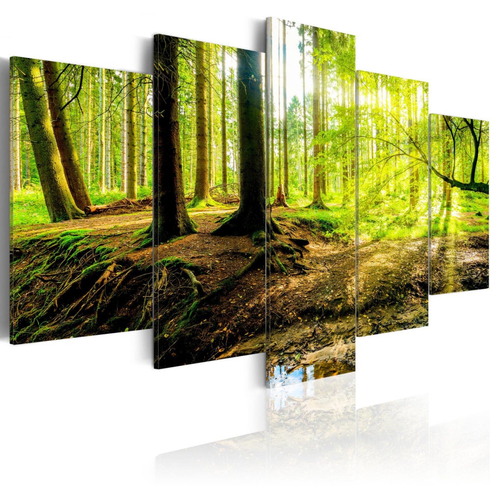Tableau - Poetry of a Forest 200x100 Artgeist cm | Leroy Merlin