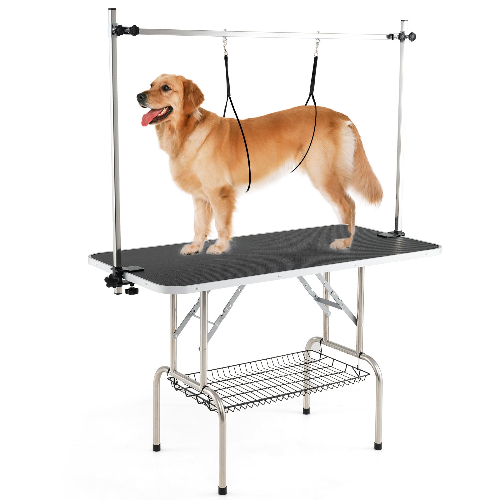 Table de Toilettage pour Chien Pliable, Bras Réglables en Hauteur, 2 ...