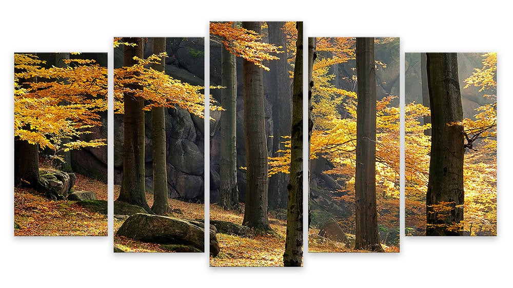 Tableau 5 parties Tableau photo fontainebleau en automne - 150x80 cm ...
