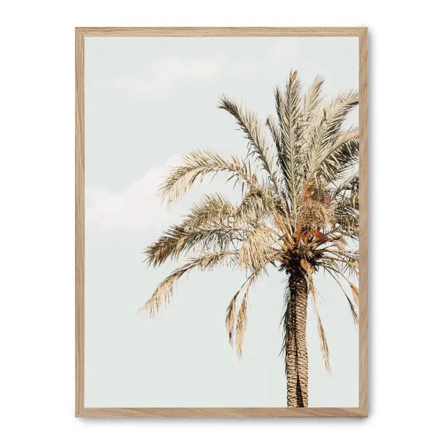 Palmier et ciel que je peins | Leroy Merlin