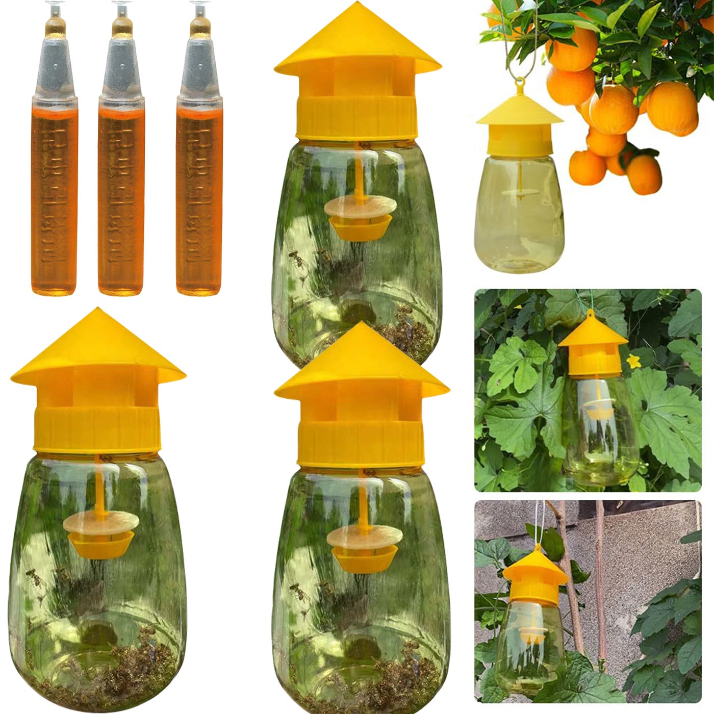 Lot de 3 pièges à mouches des fruits réutilisables, pièges à insectes d ...