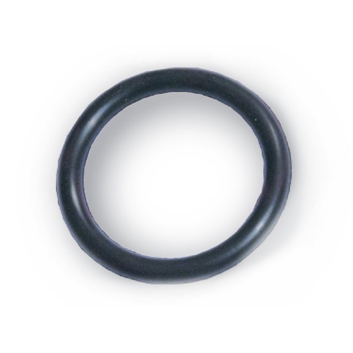 GUARNIZIONE O-RING PILETTA/SEDE PER MONOLITH 2011 KARIBA - | Leroy Merlin