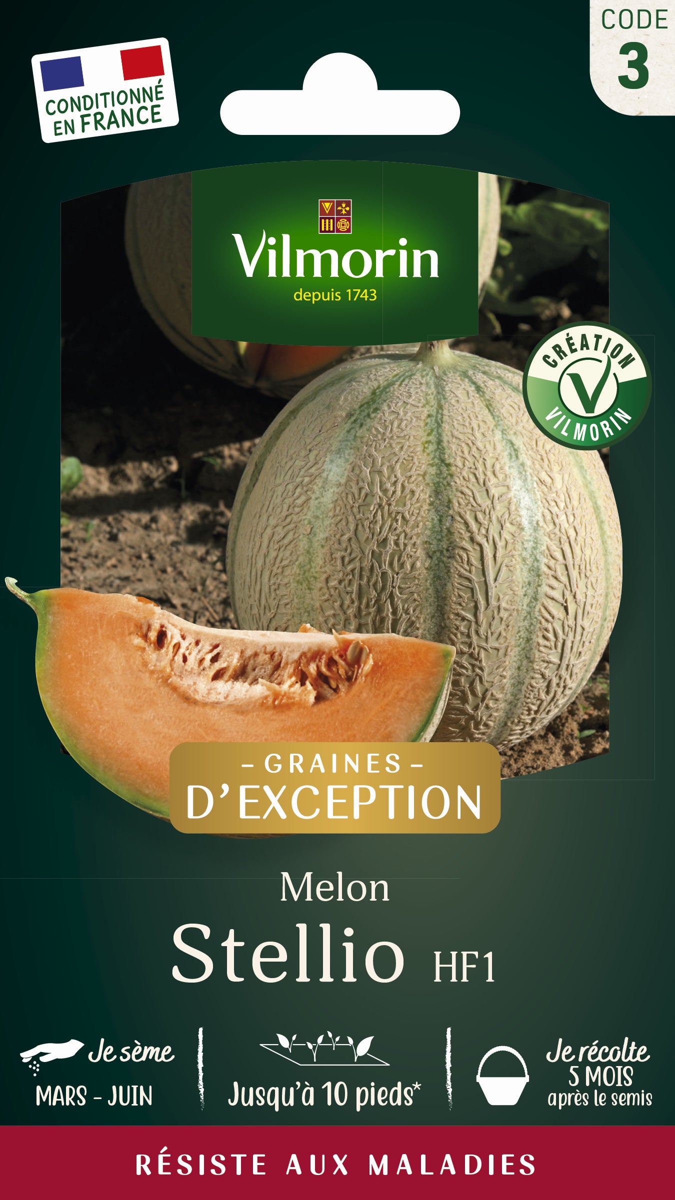 Melon Stellio HF1 - Graines d'Exception | Leroy Merlin