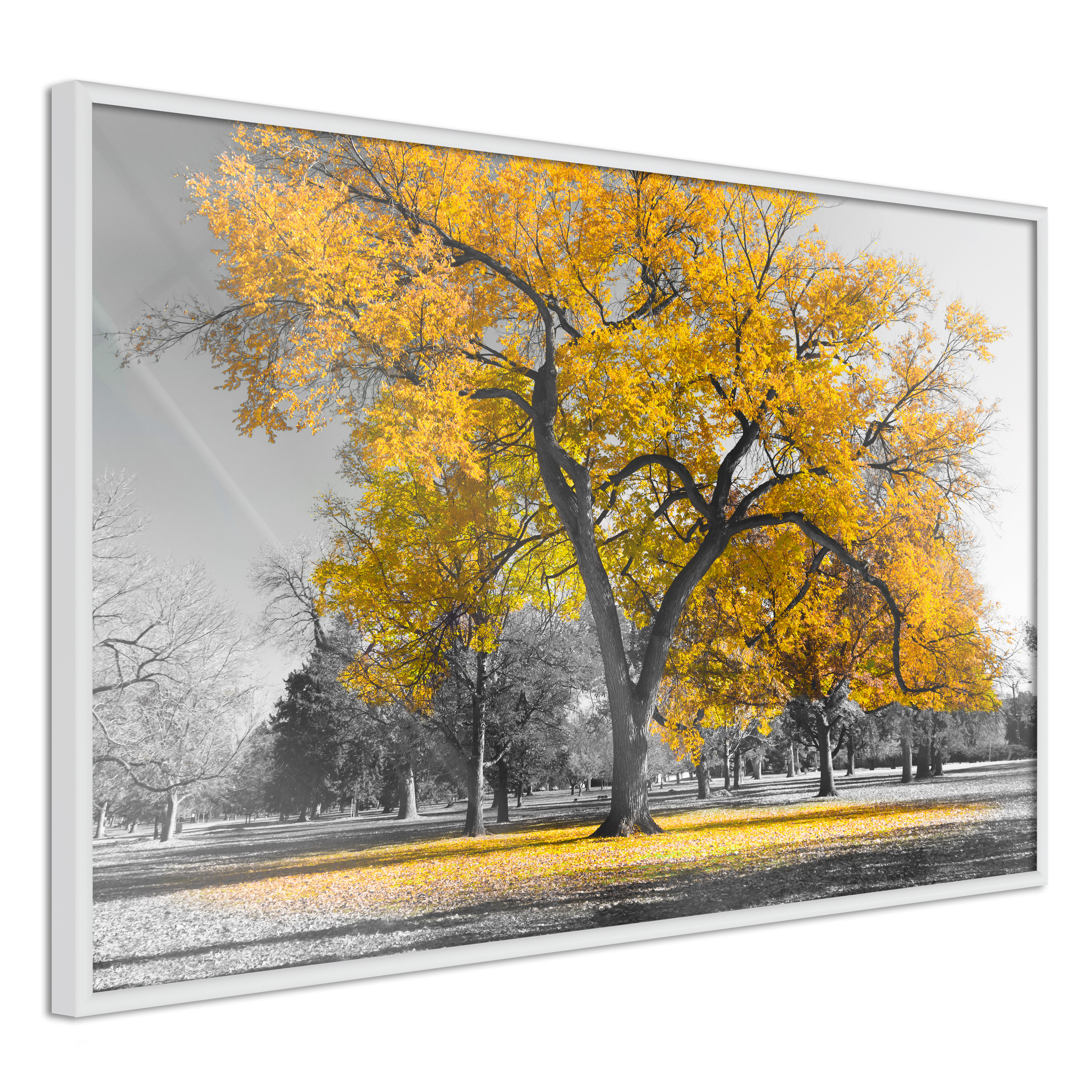 Poster et affiche - Golden Tree - 45x30 | Leroy Merlin