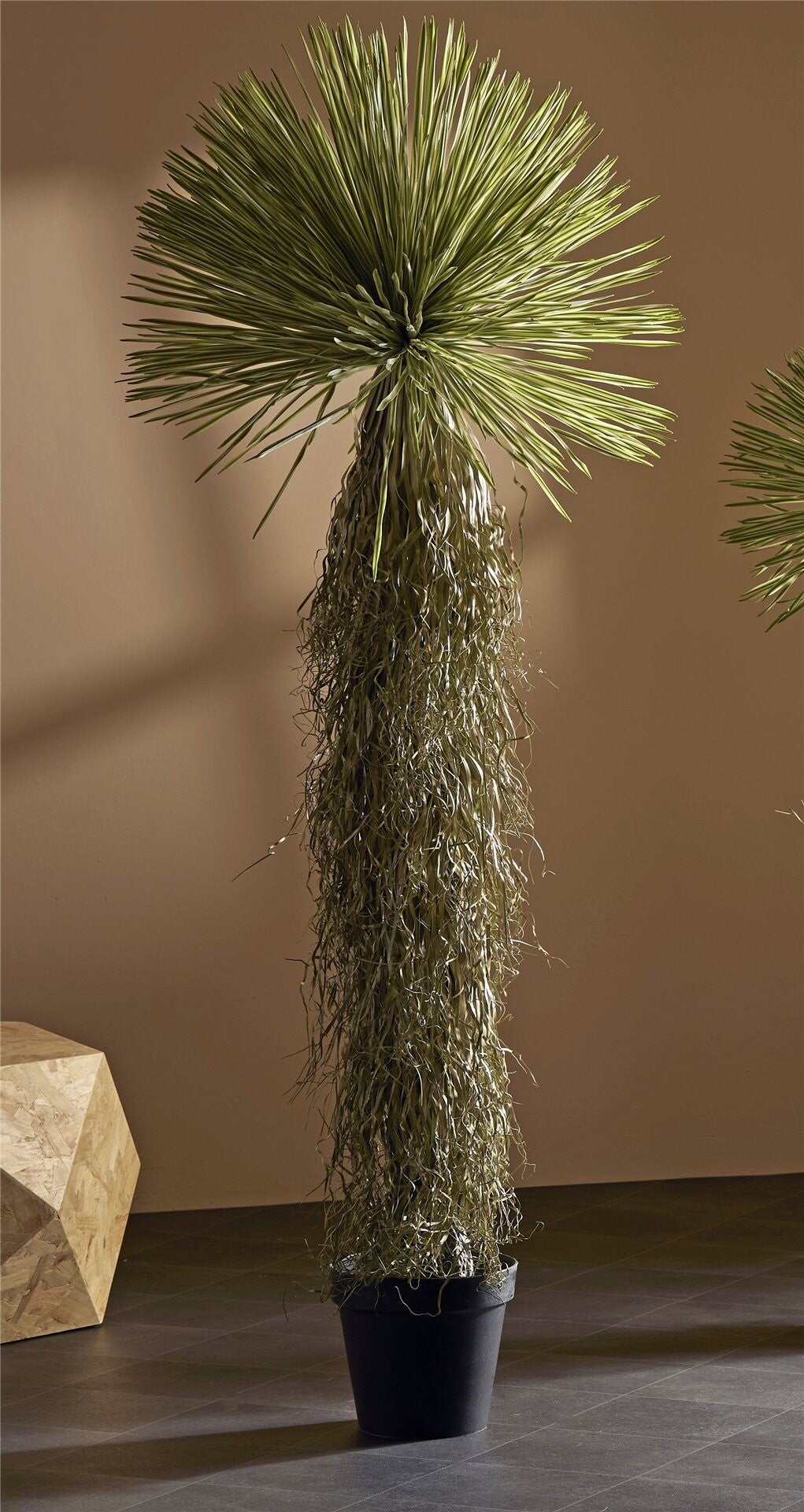 Yucca vert 70x70x175cm | Leroy Merlin