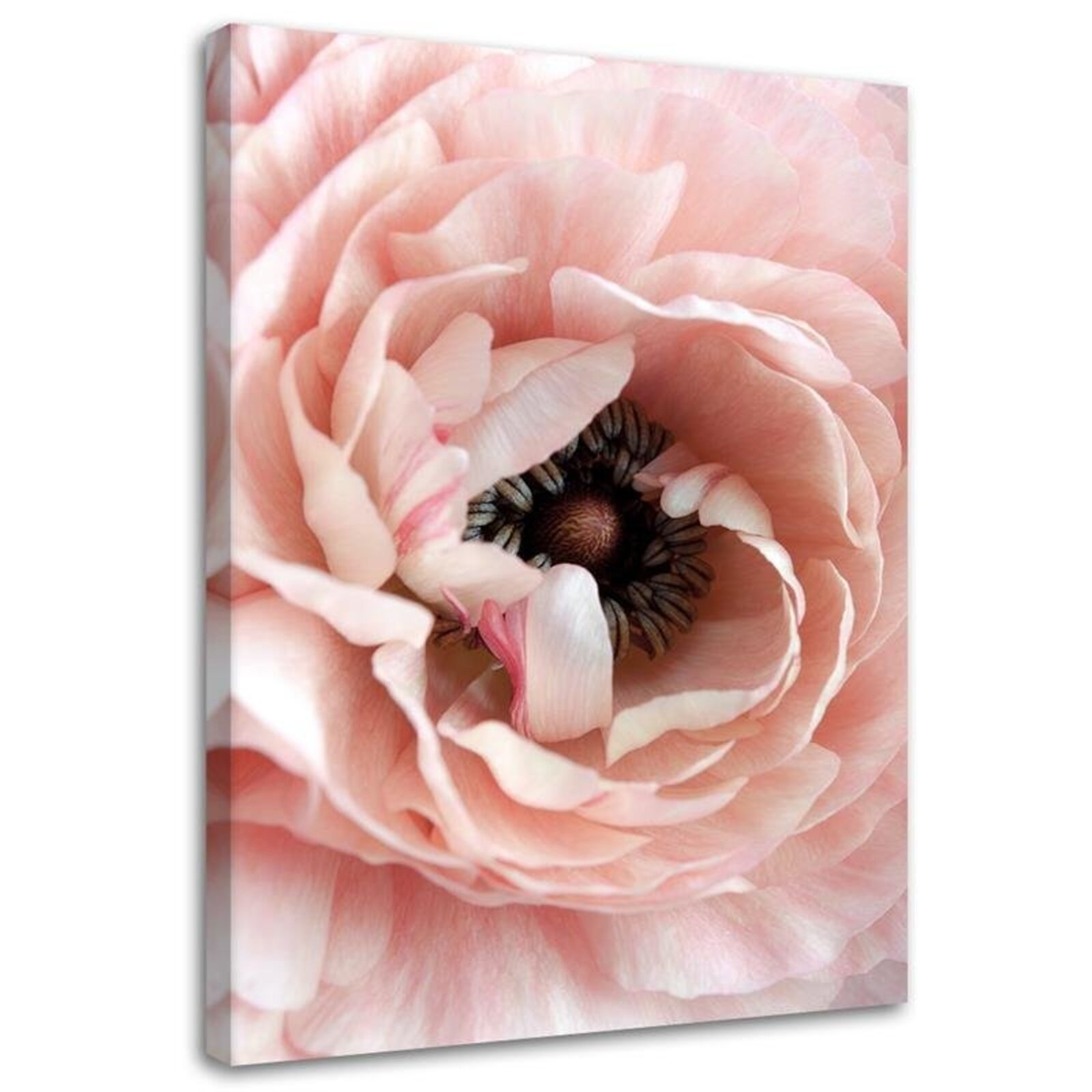 Tableau fleur rose pastel | Leroy Merlin