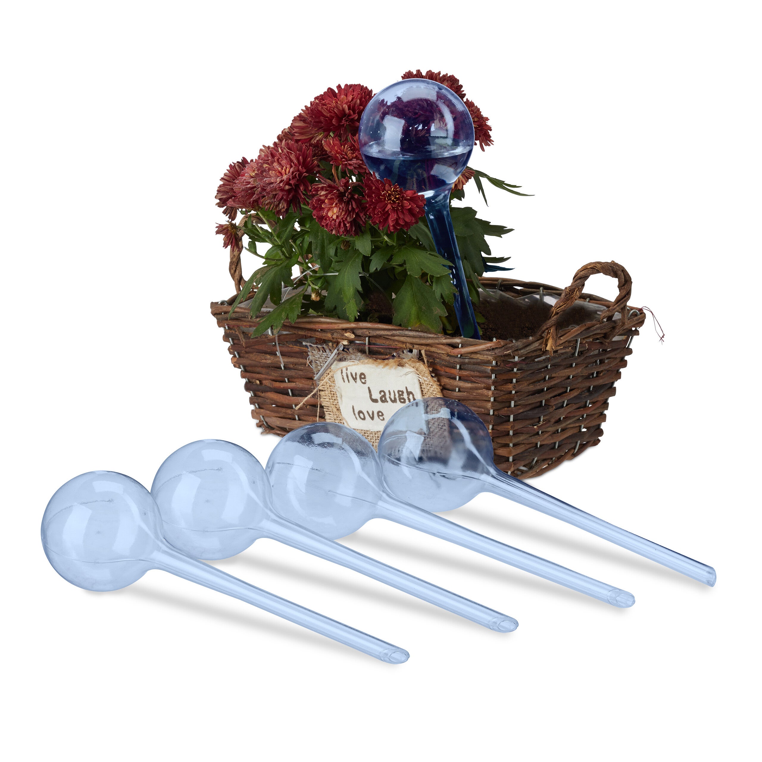 Juego 5 Globos Riego para Plantas Interior, Biberones Regar Flores ...