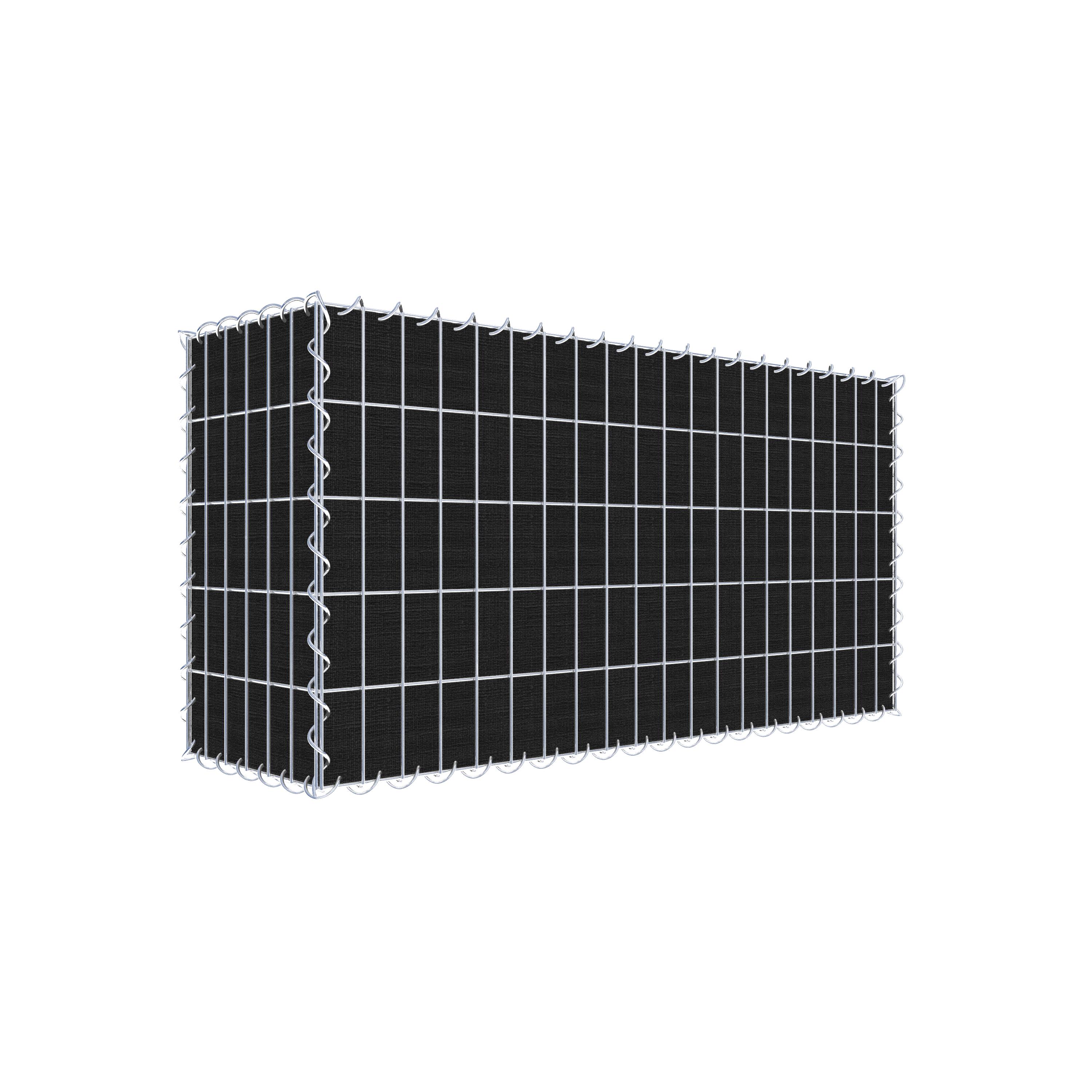 Mur gabion végétal avec non-tissé 100 cm x 50 cm x 30 cm (L x H x P), maille 5 cm x 10 cm ...