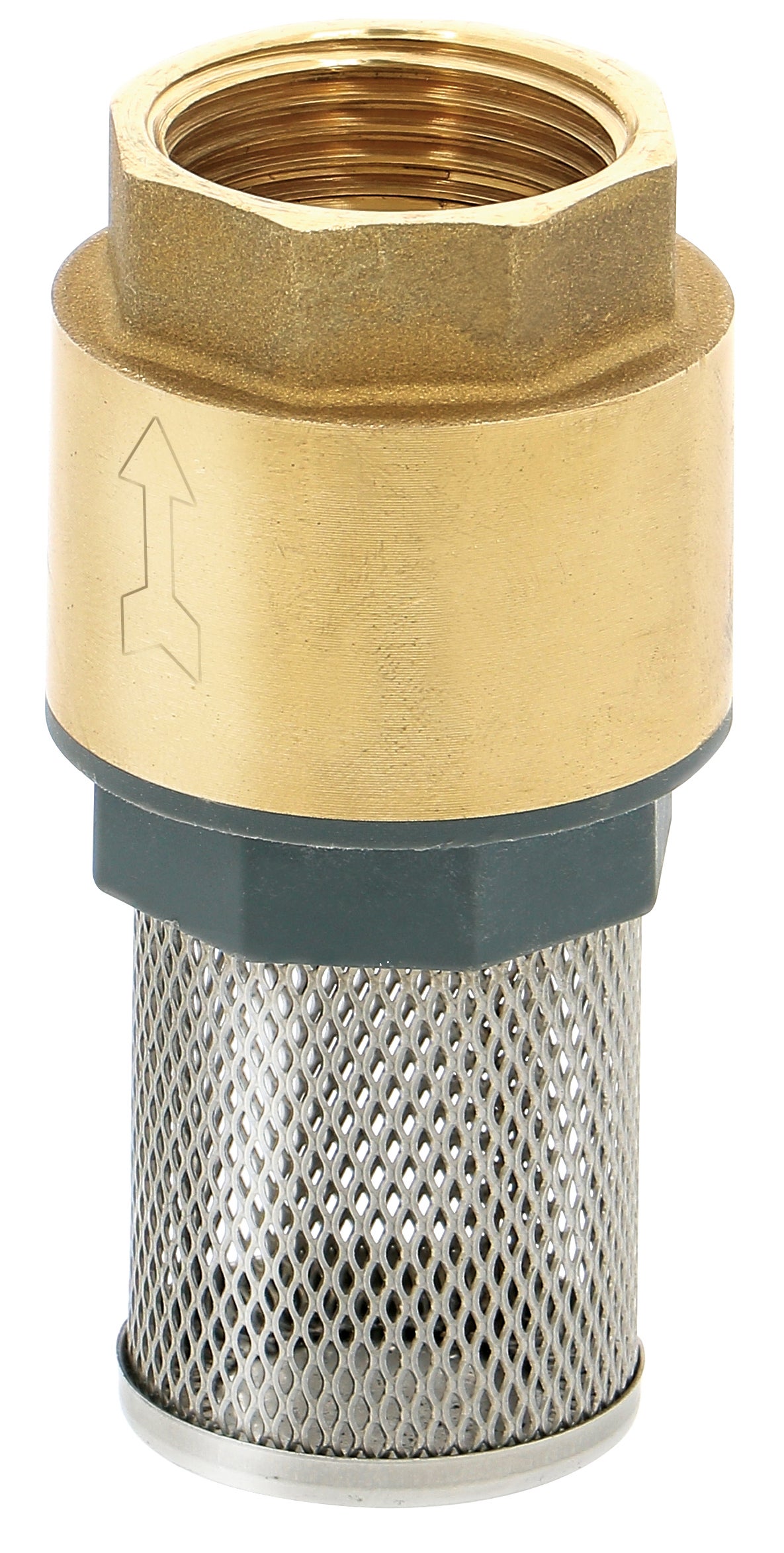 Clapet/crépine standard à ressort F 40/49 | Leroy Merlin