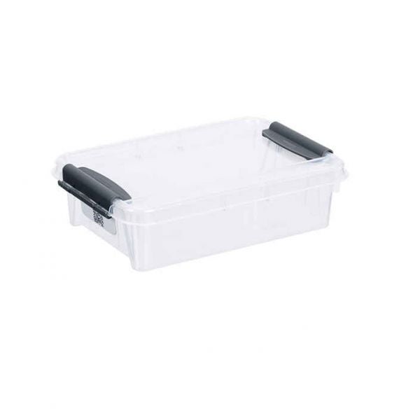 Petite boîte plastique plate transparente avec couvercle 0,9 l ProBox ...