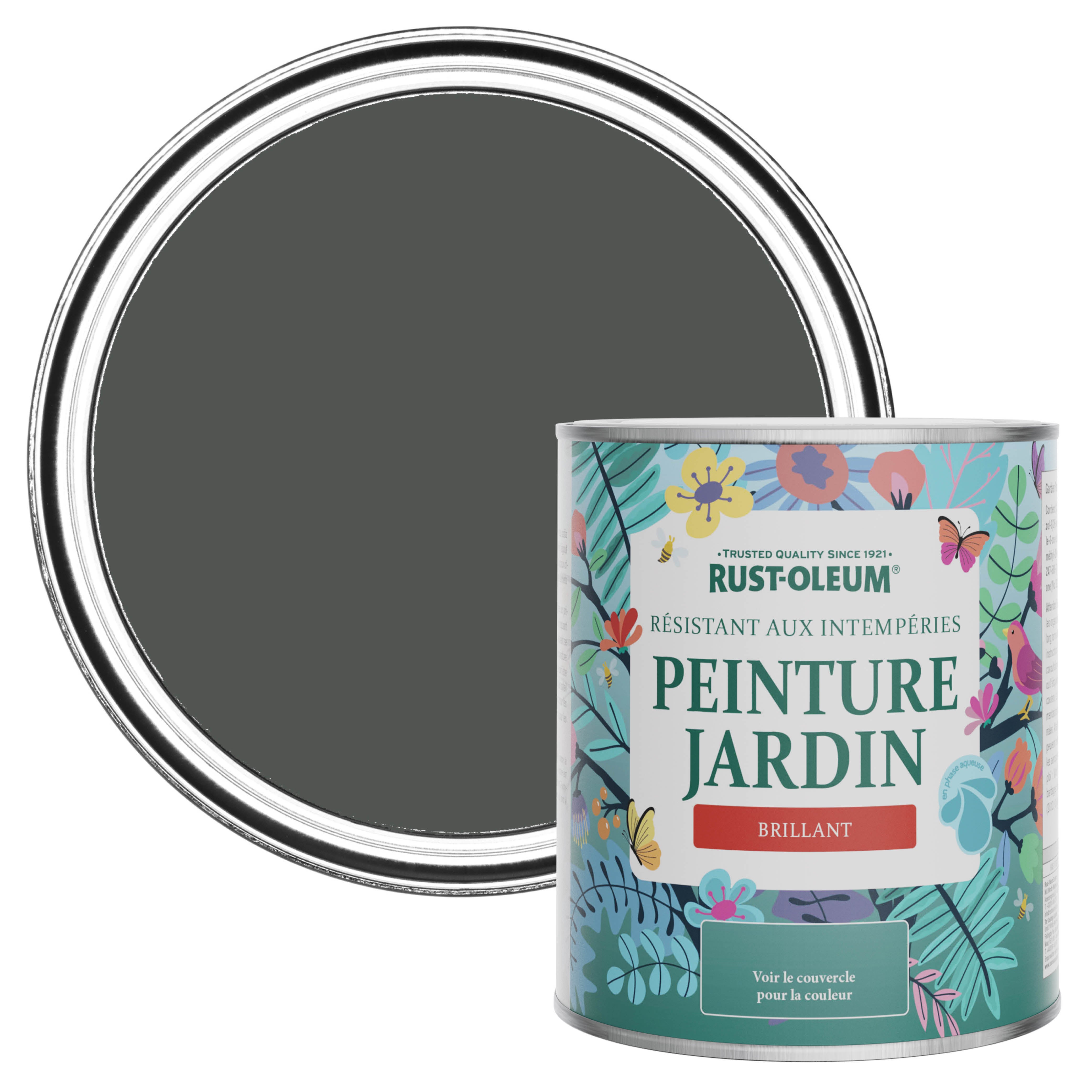 Rust-Oleum Peinture Jardin, Finition Brillante - Graphite 750ml | Leroy ...