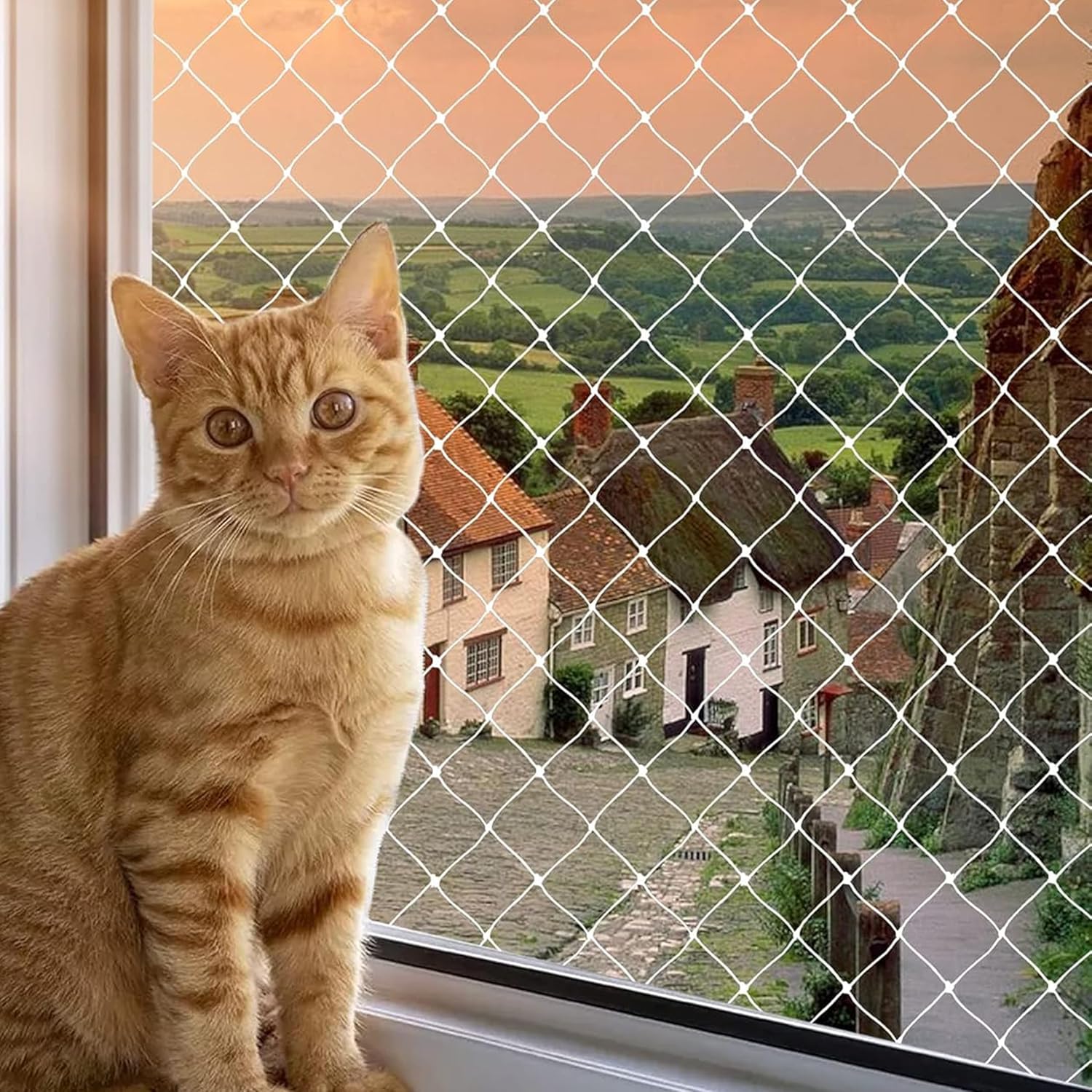 Filet de sécurité pour chat de balcon - Filet de sécurité pour chat ...
