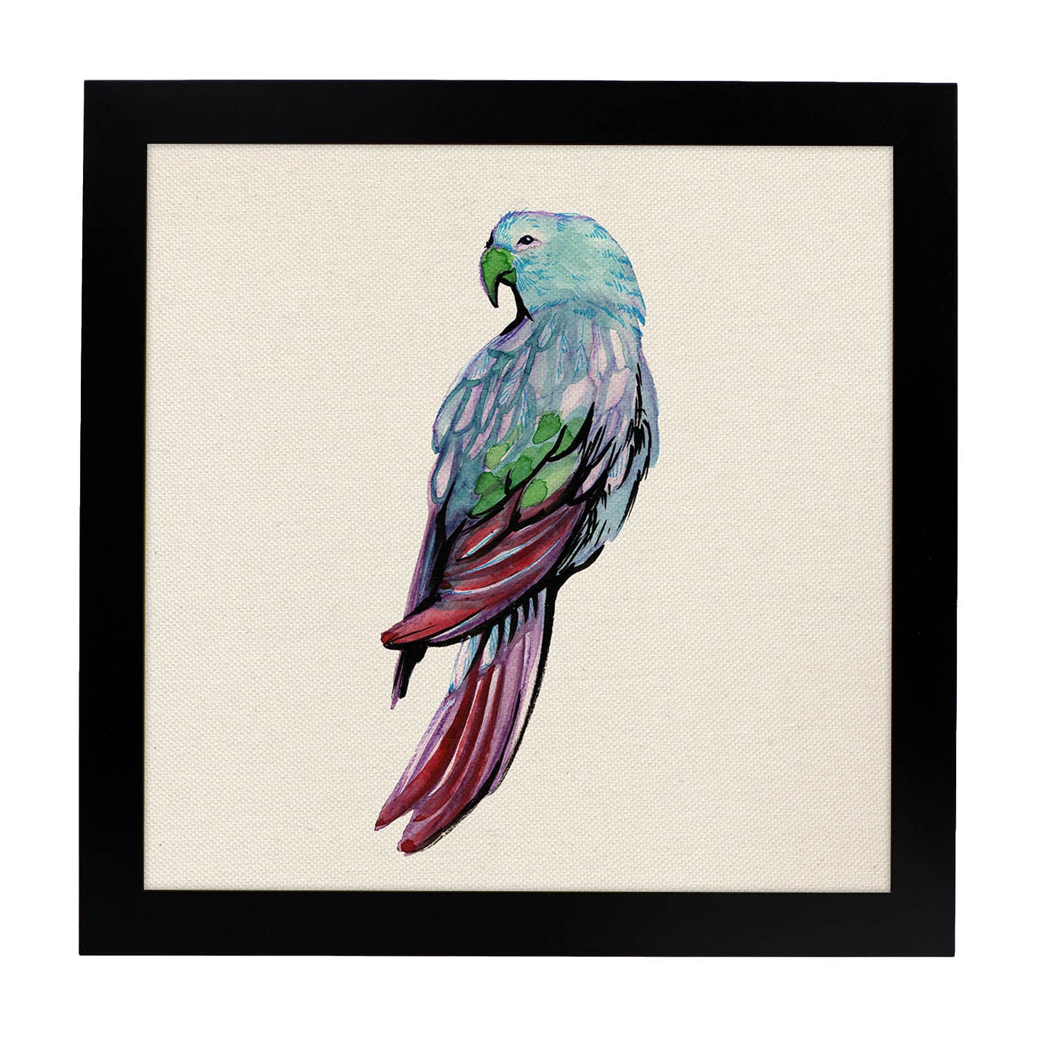 Carré Avec Des Oiseaux D'oiseaux. Lorito Azul Lamina, Illustrée D ...