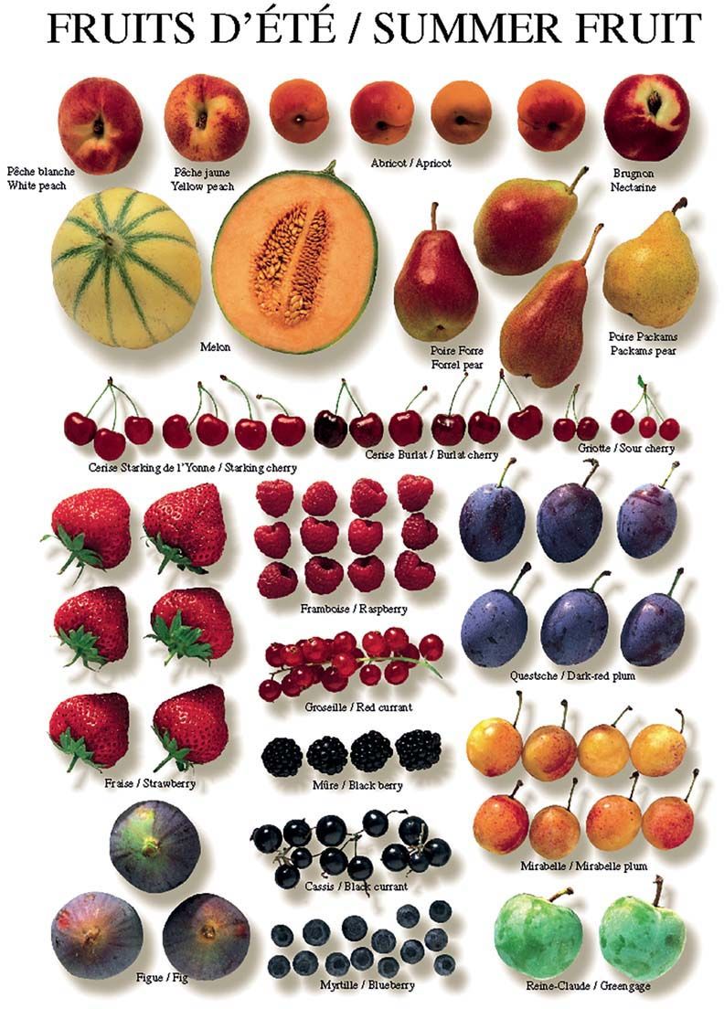 Affiche Fruits D'été 24x30 Cm Draeger | Leroy Merlin