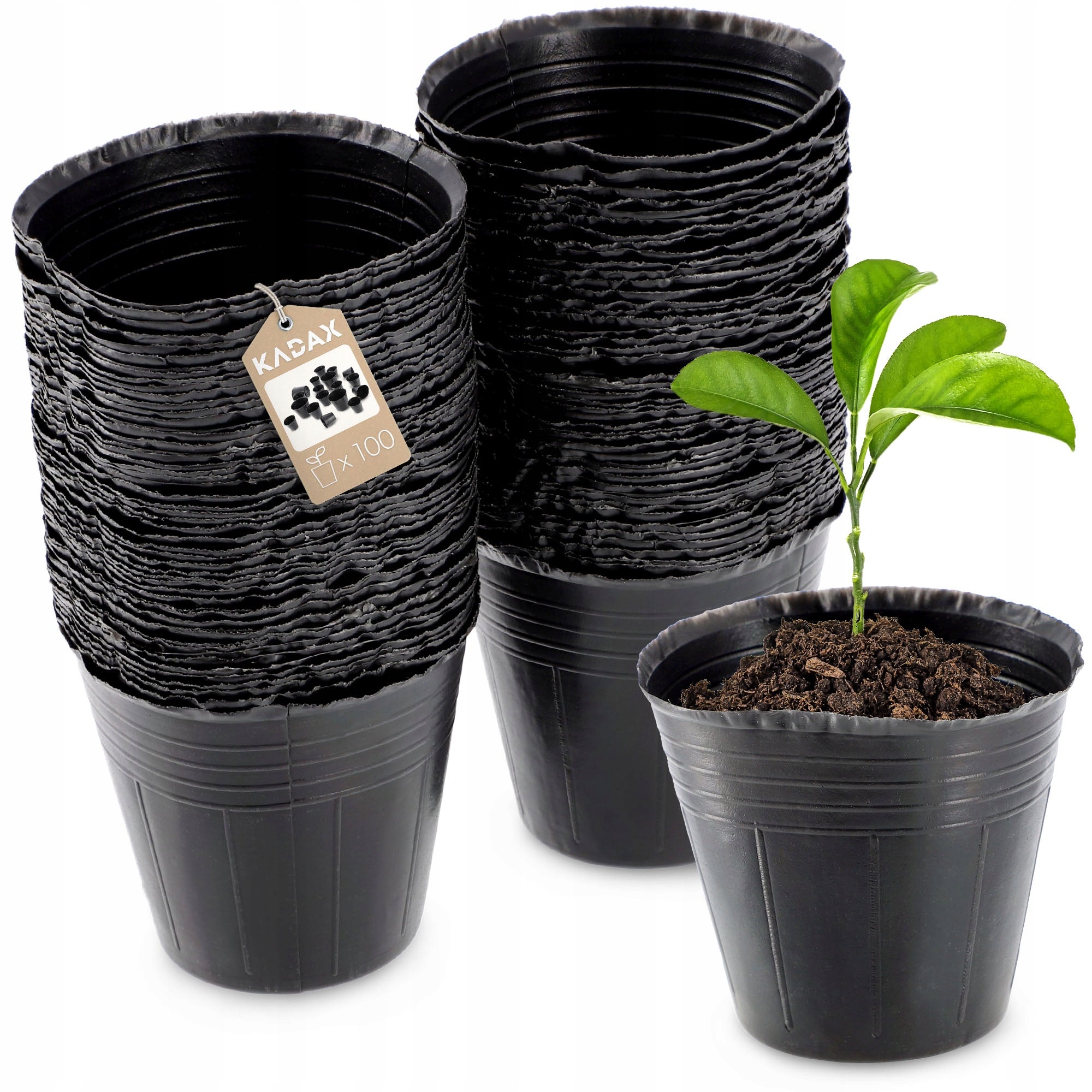 KADAX 100x Pots de Production Pot 6cm pour Semis Culture Semis | Leroy ...