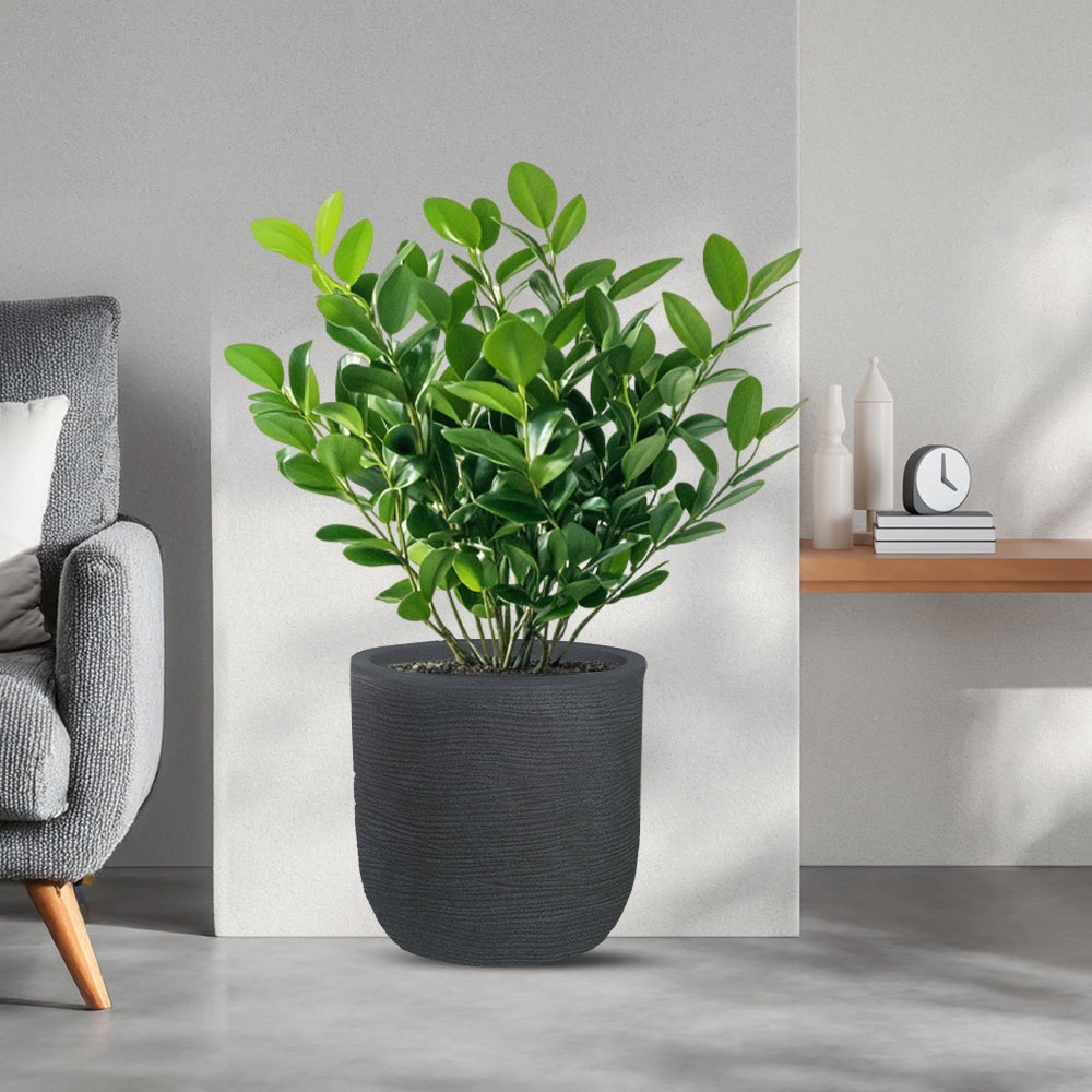 Vaso in resina da esterno interno per piante cilindro di design d ...