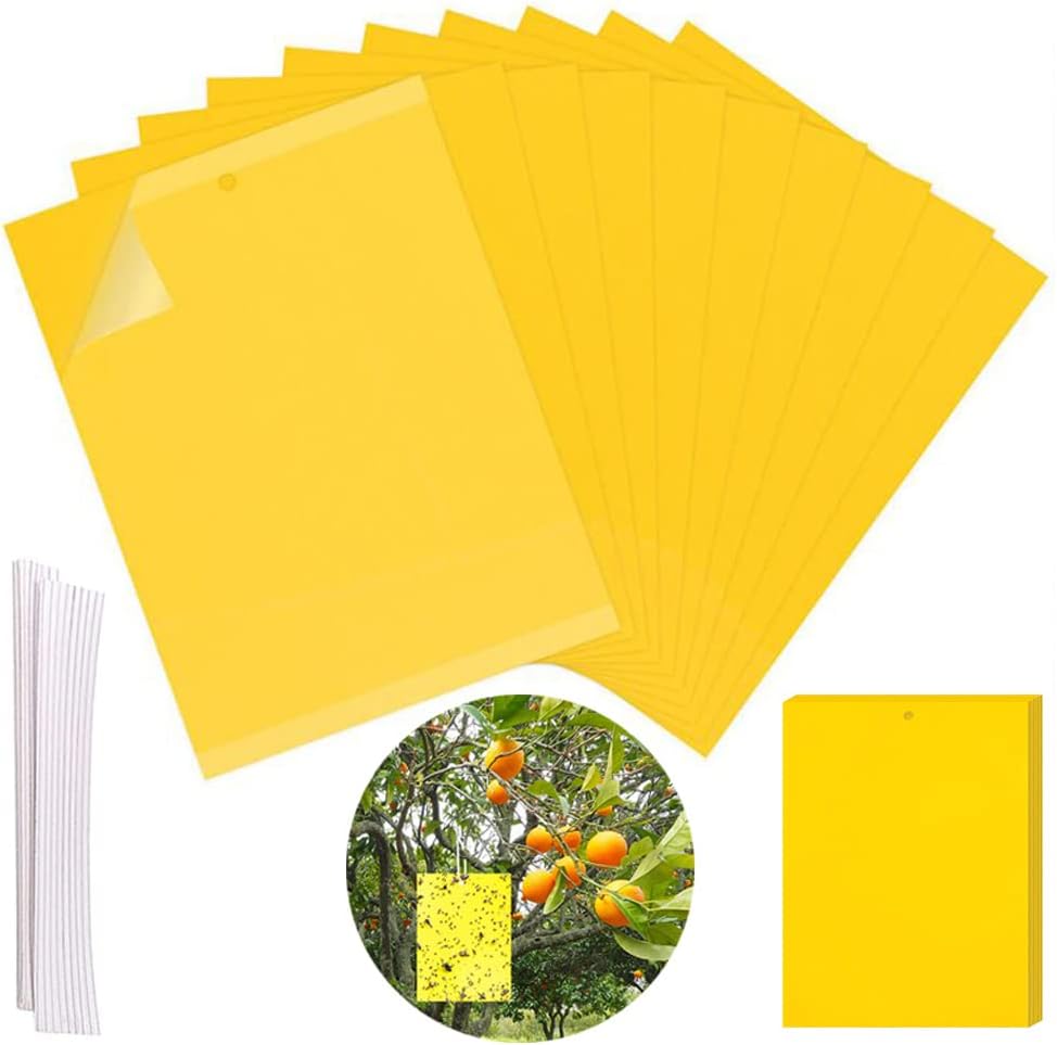 100 Pièces Pièges à Insectes Jaune Double Face Attrape Collant Piège à ...