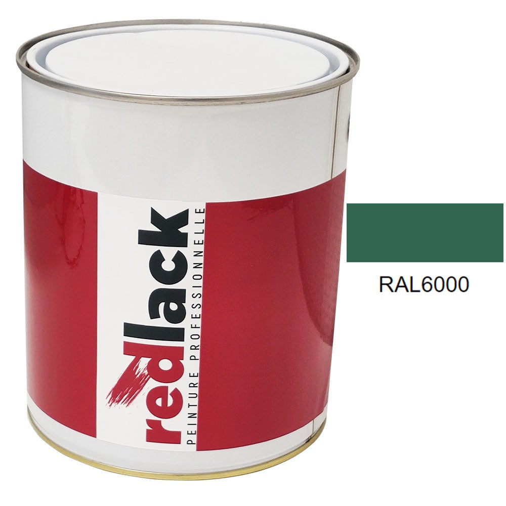 Redlack Peinture RAL 6000 Satiné multisupport 3L | Leroy Merlin